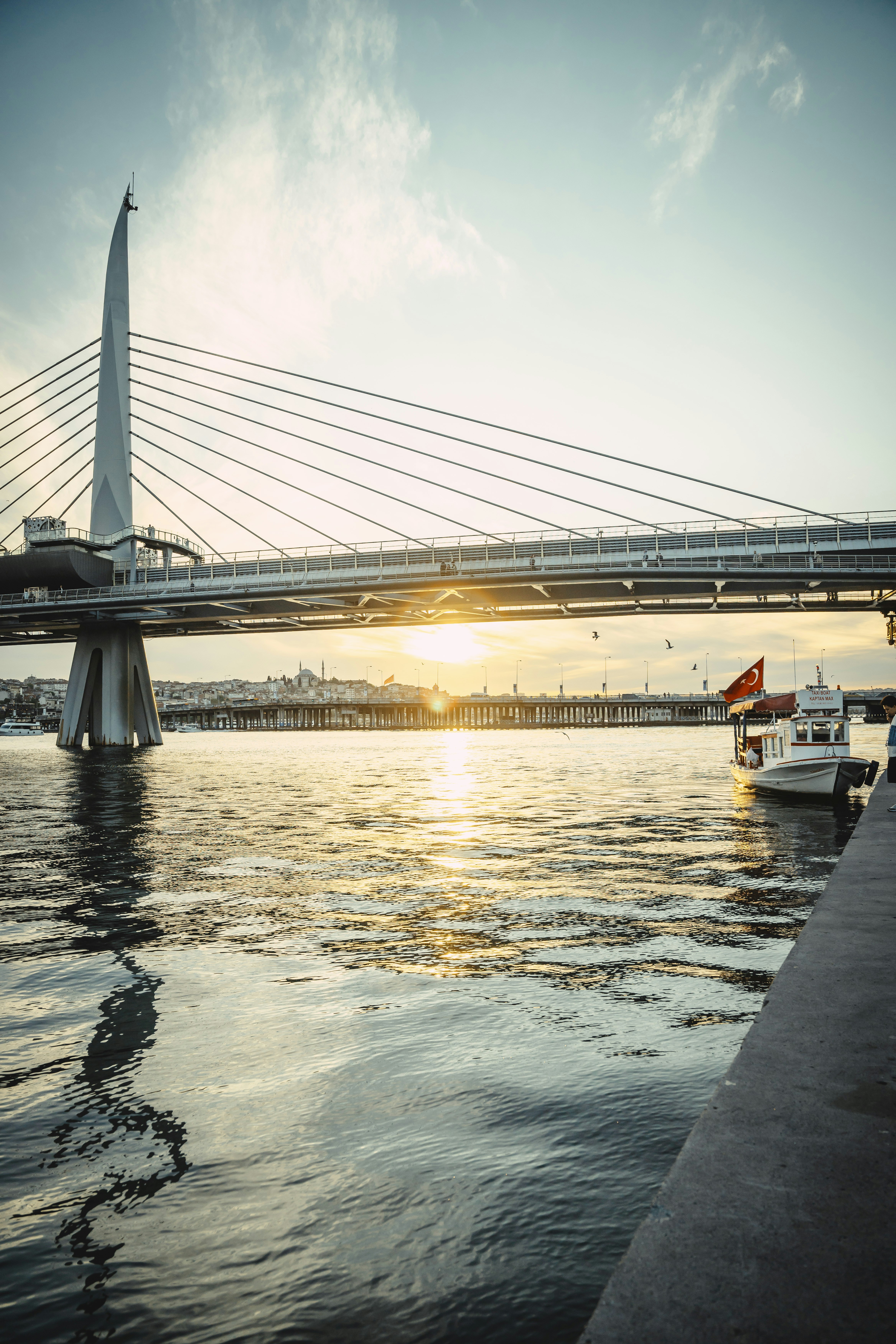 Sunlit Spire: A Cable-Stayed Moment Over Quiet Waters