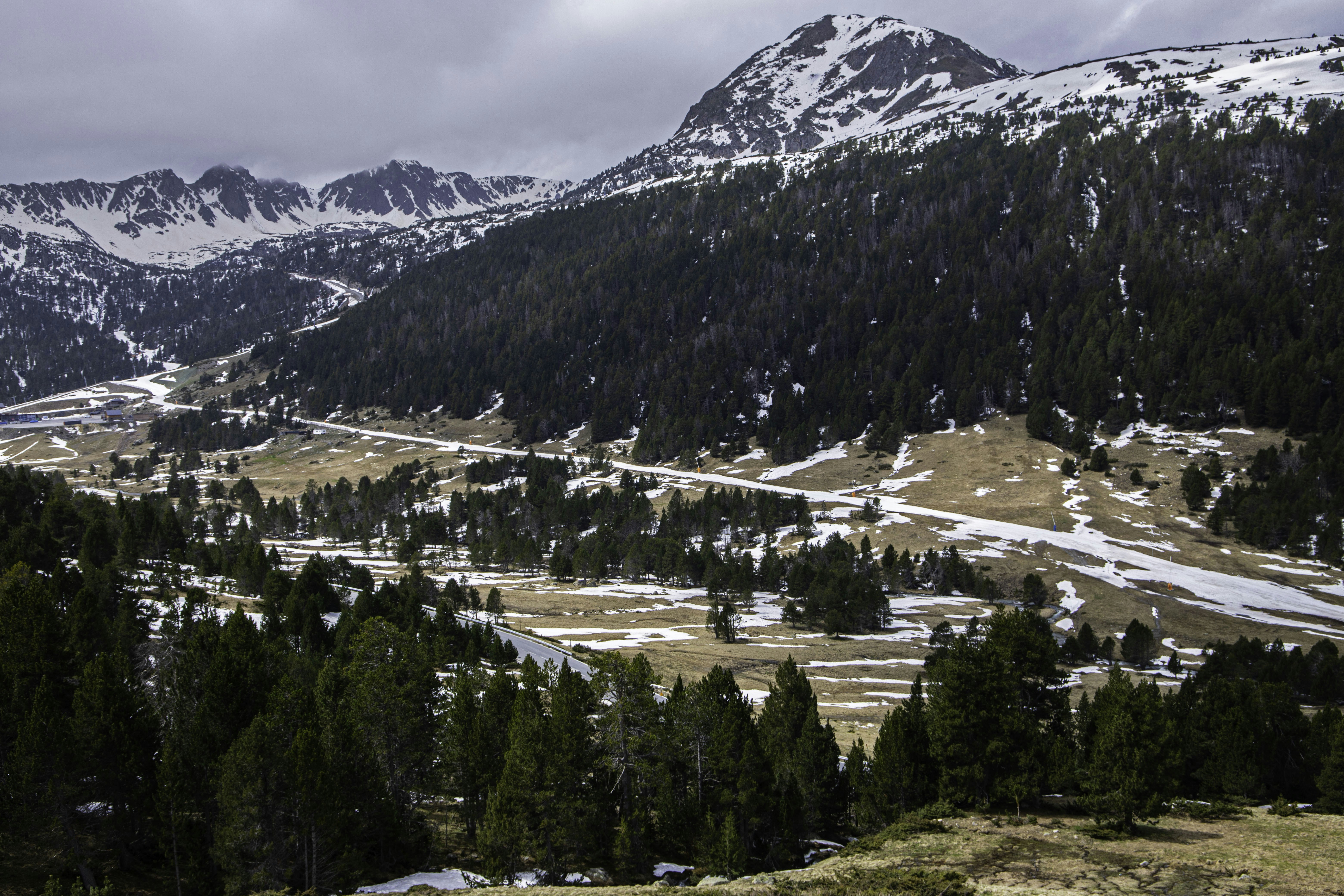 Snow-kissed Alpine Valley under Aged Pines