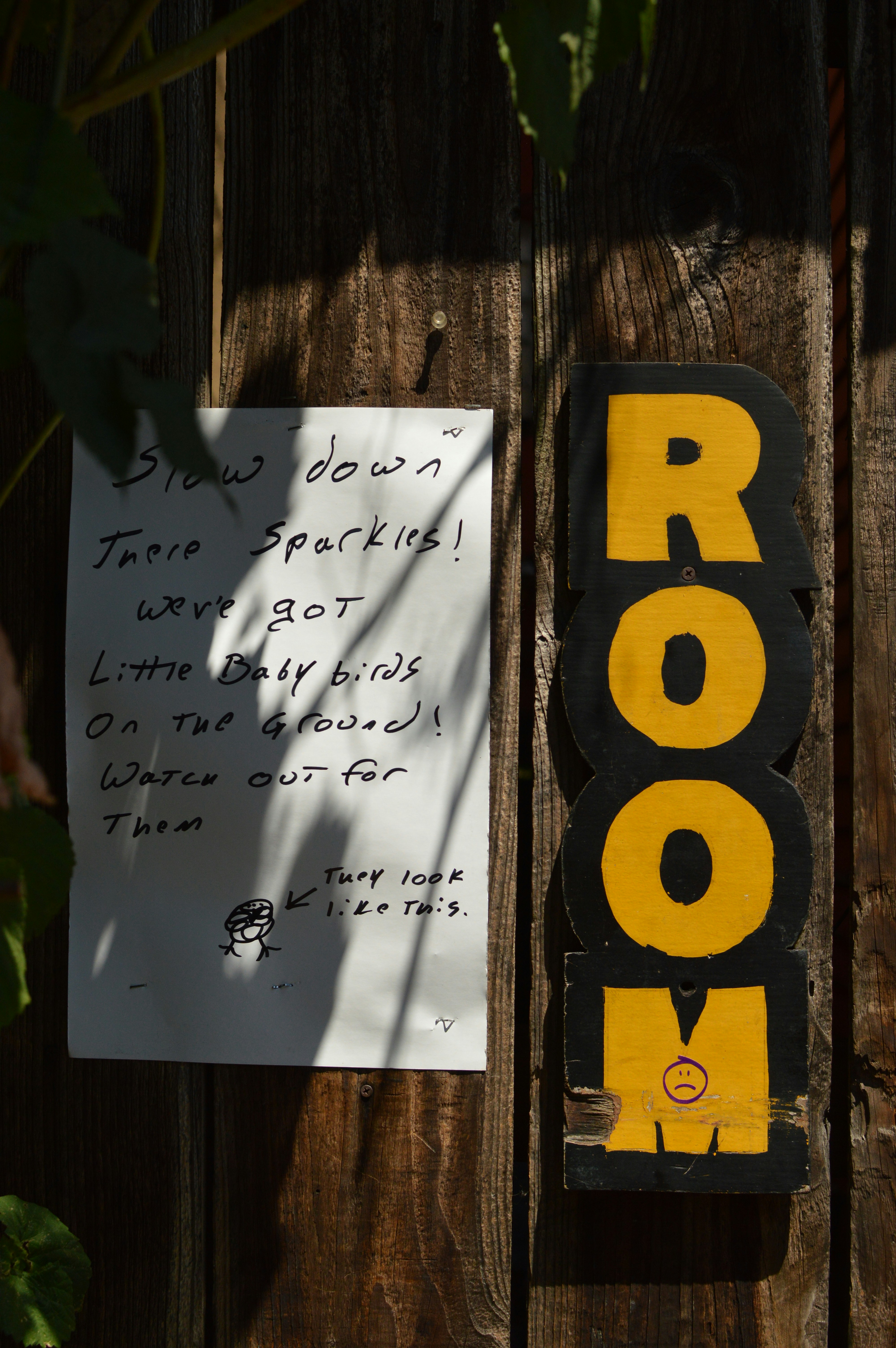 Rook Signage and Whispered Warning on a Weathered Fence