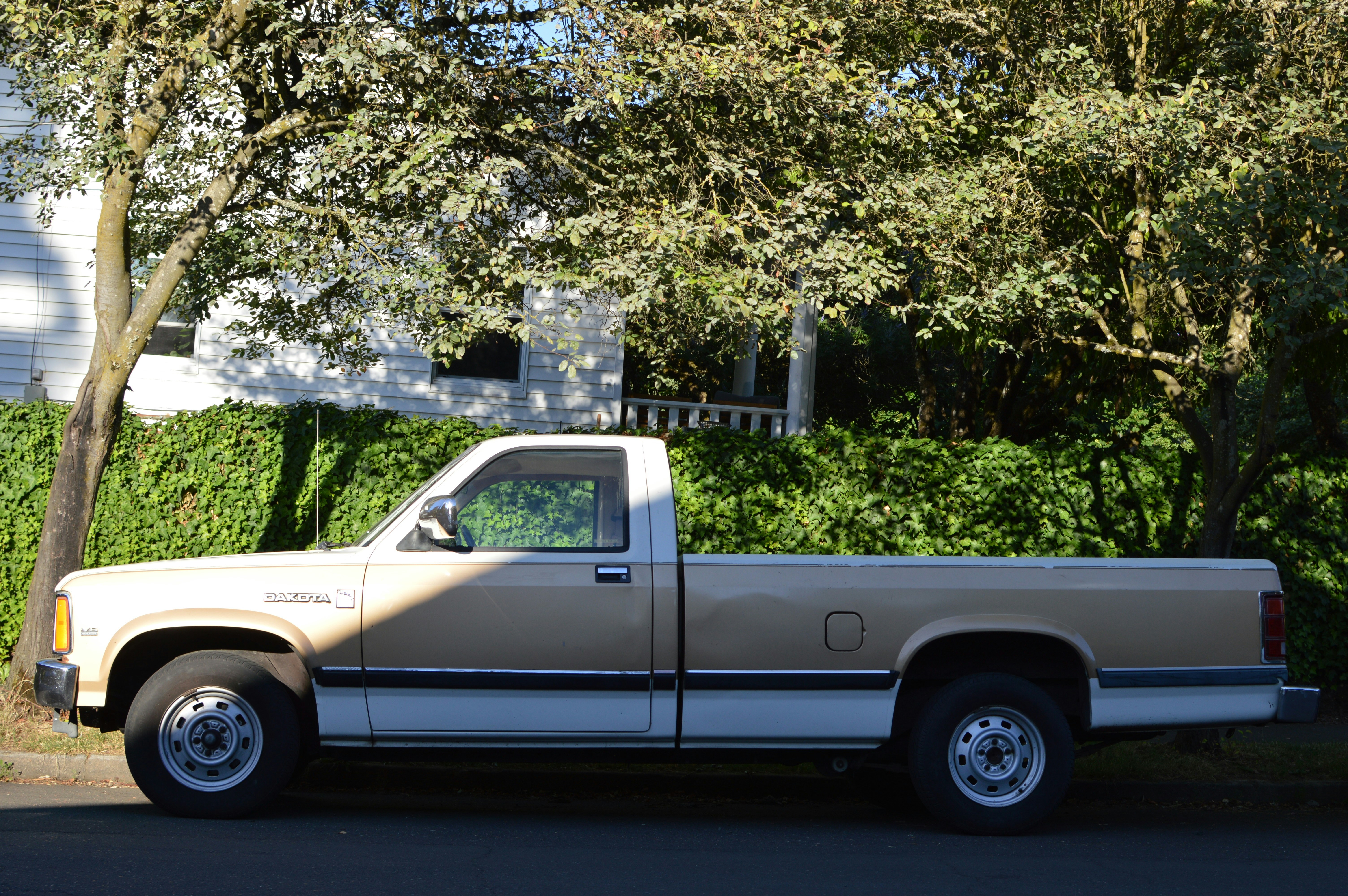 Classic White Pickup Quietly Sunlit Along a Suburban Street