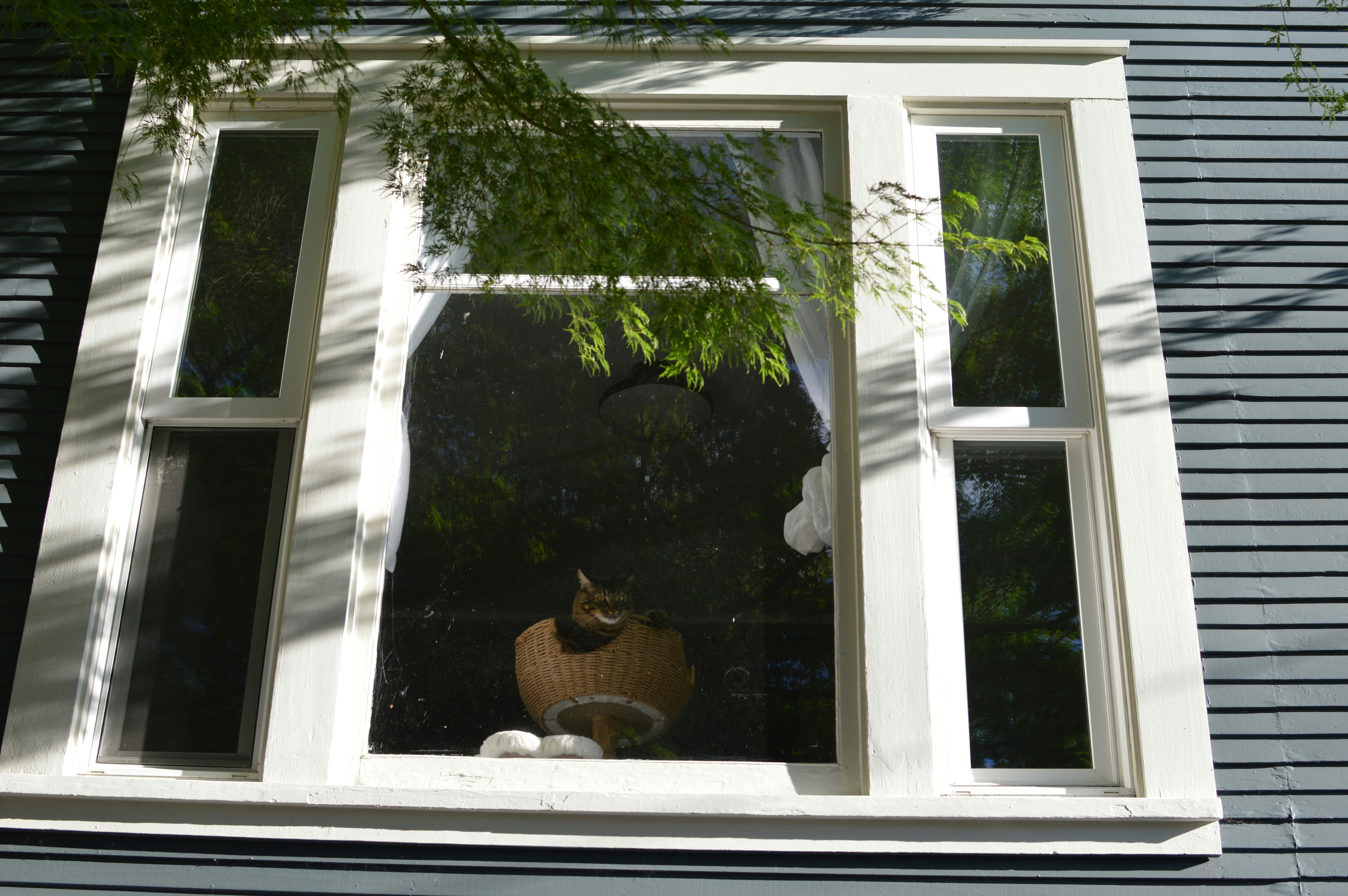 Sunlit Window Nook with Earthy Vase in a Quiet Garden Moment