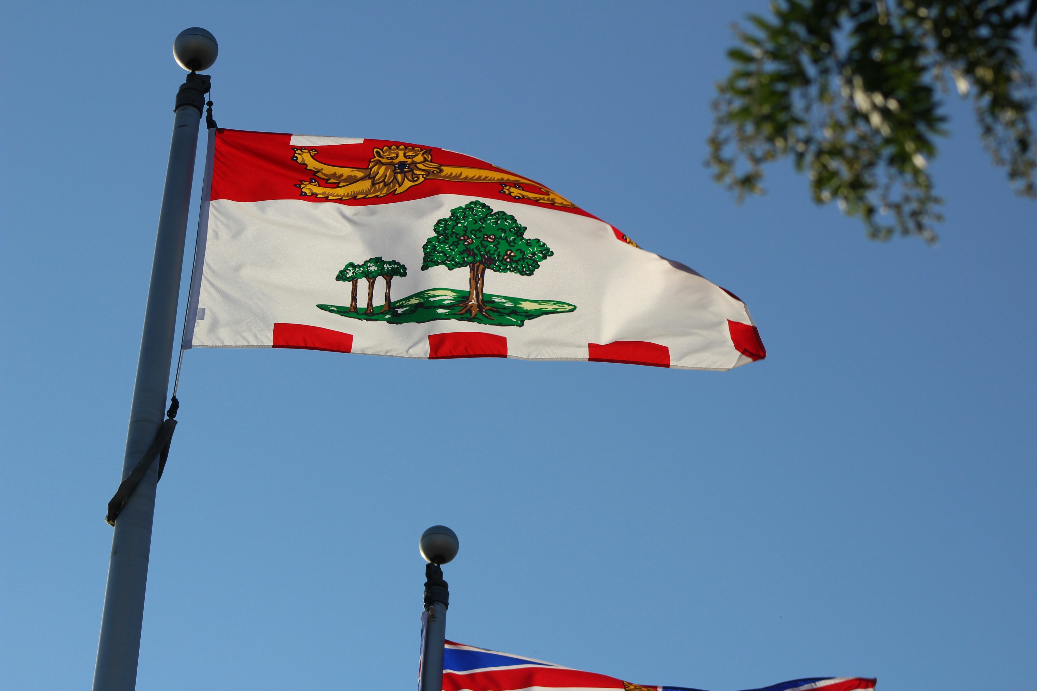 Flag atop a calm blue sky archive