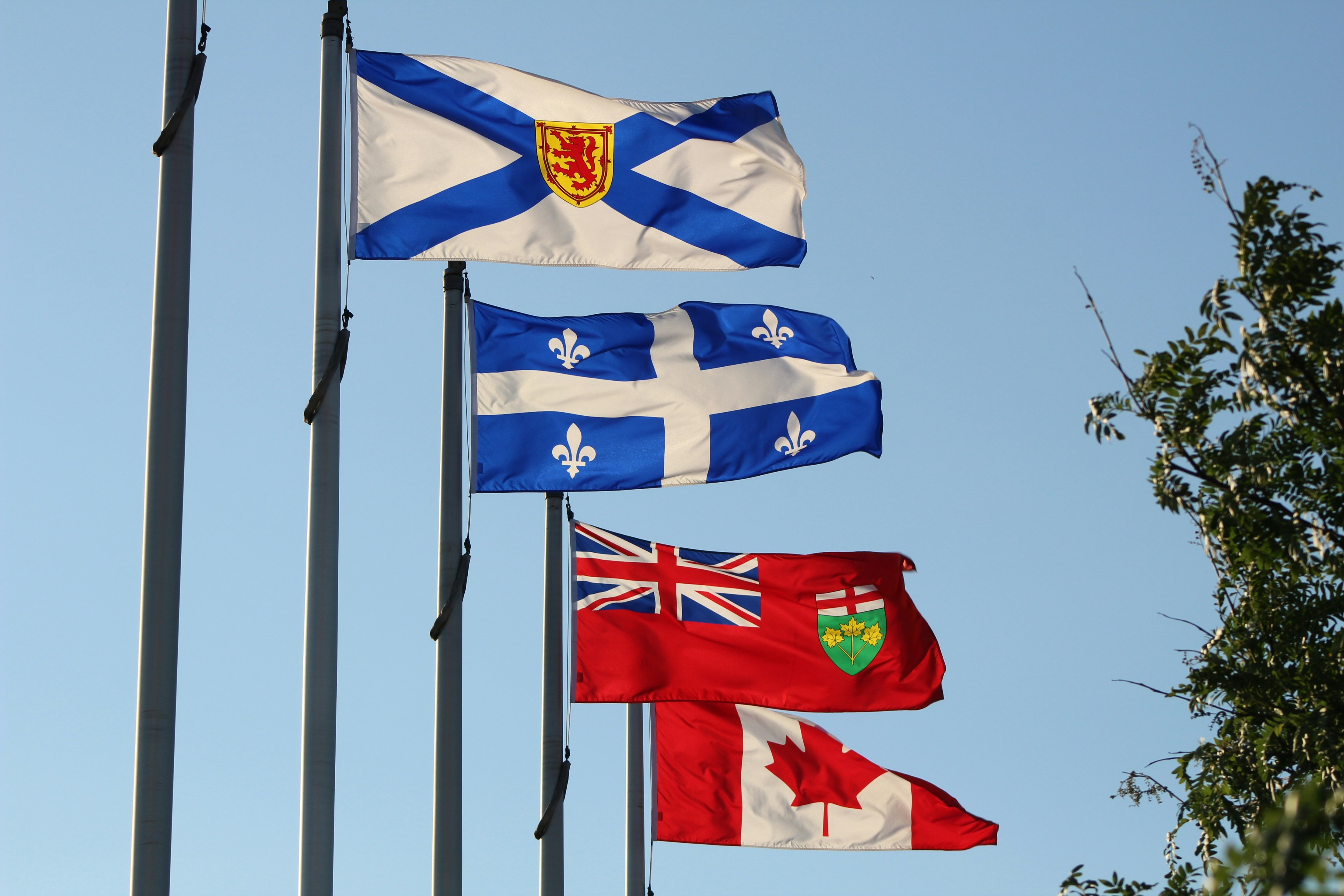 Flag Parade Against a Clear Sky
