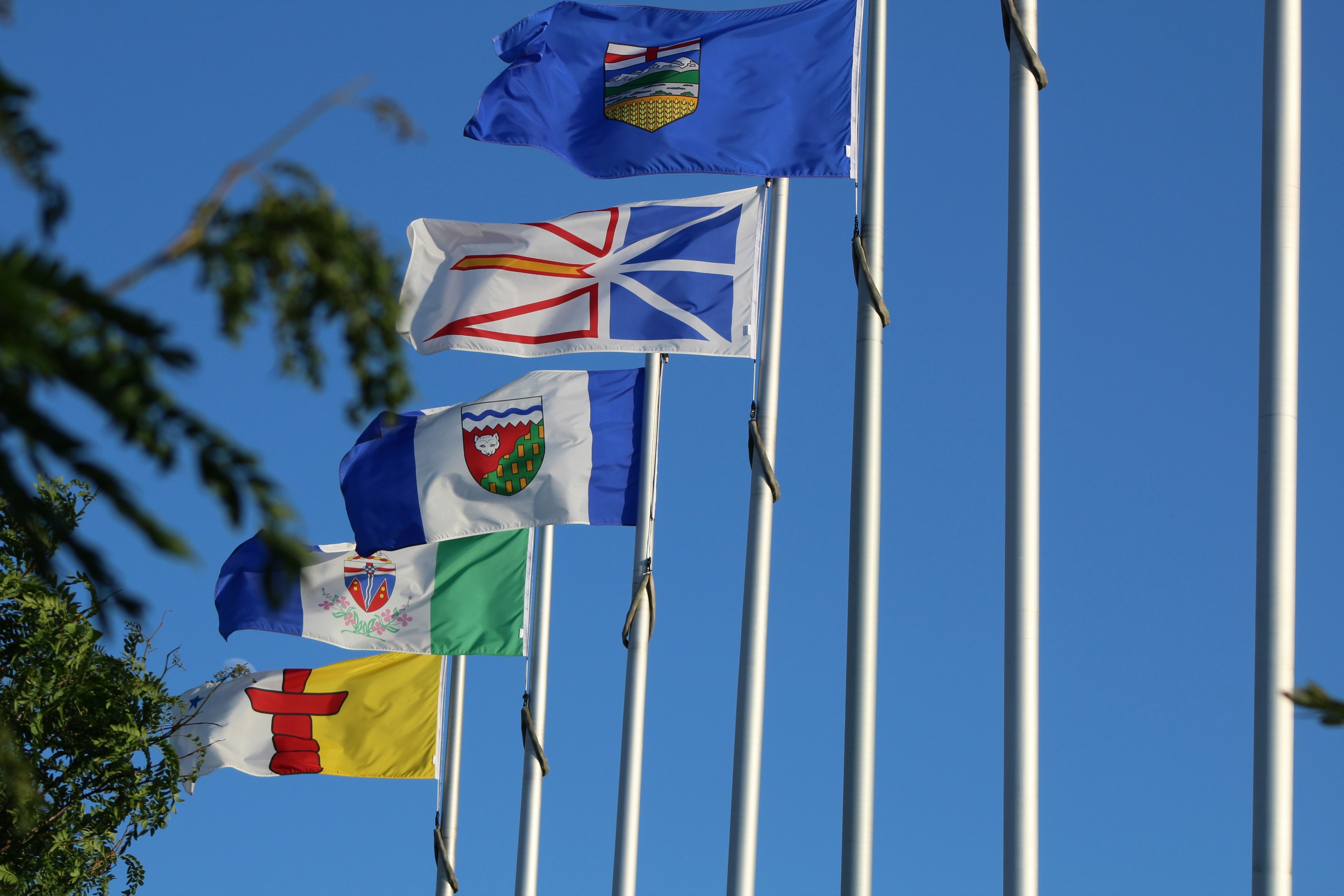 Vibrant Flag Row Against Clear Sky