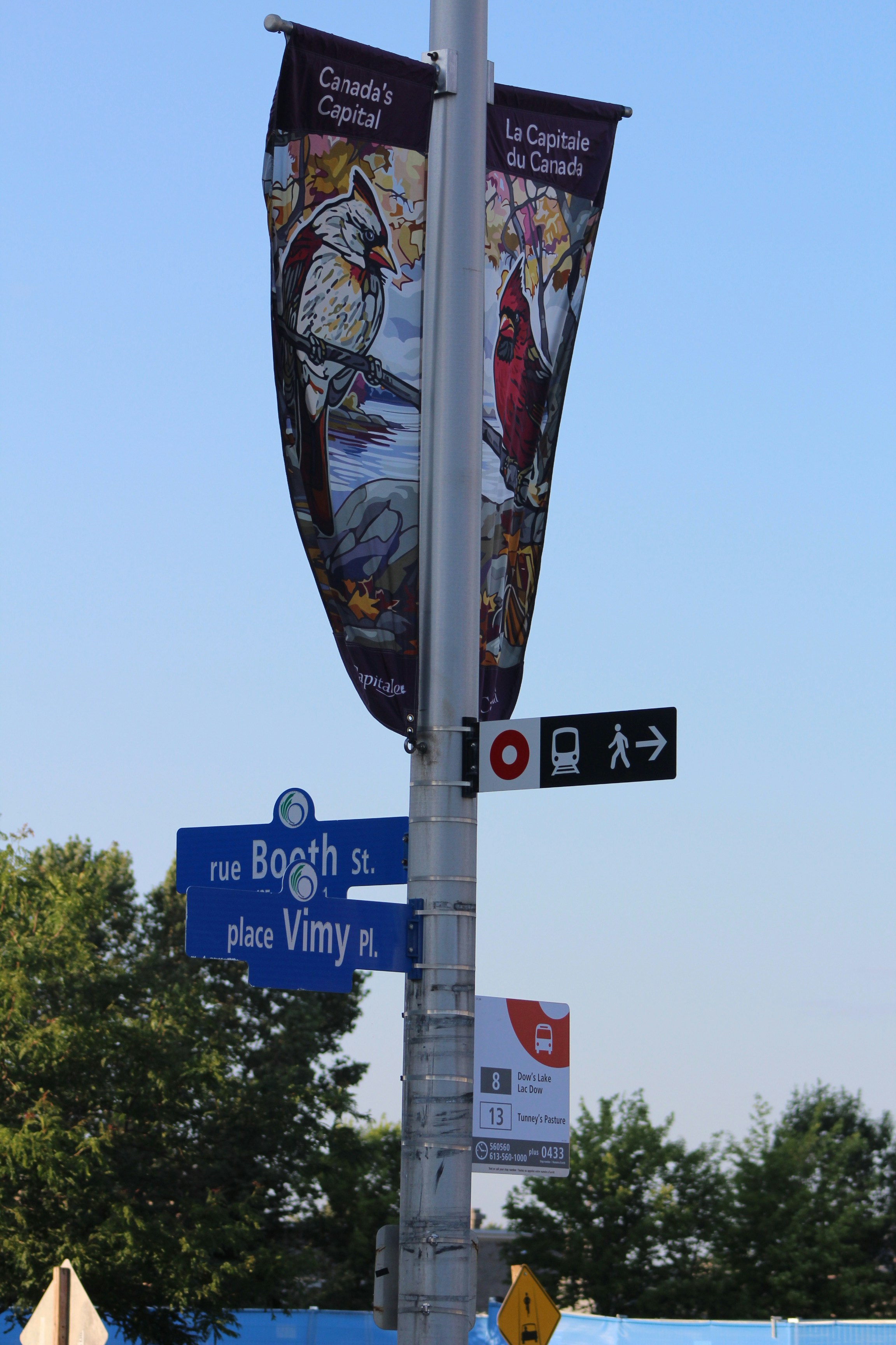Bannered street corner: blue signs and red circle on a sunlit lamppost