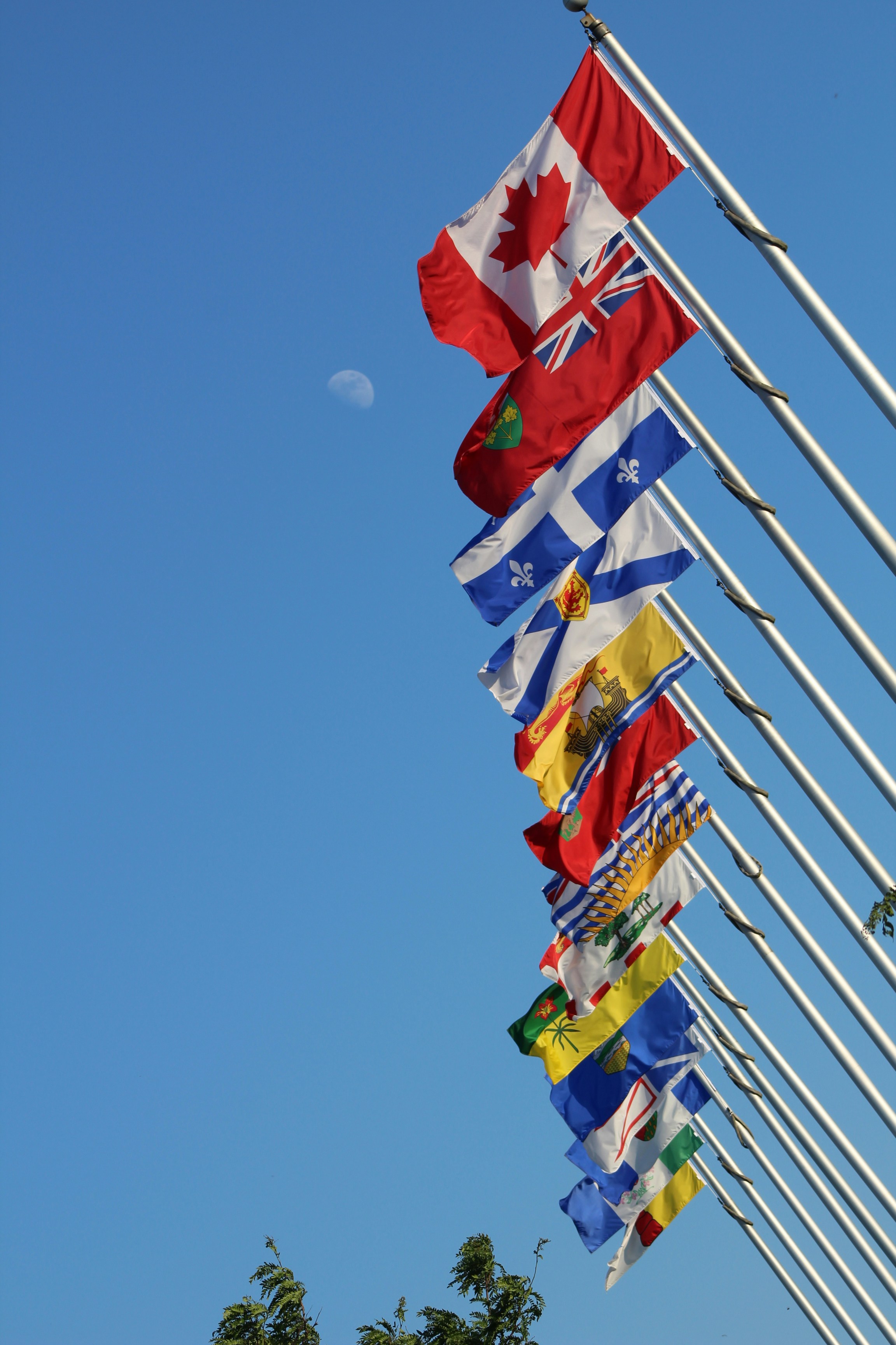 Flags in Flight: A Vertical Beacon of Color Against a Calm Sky