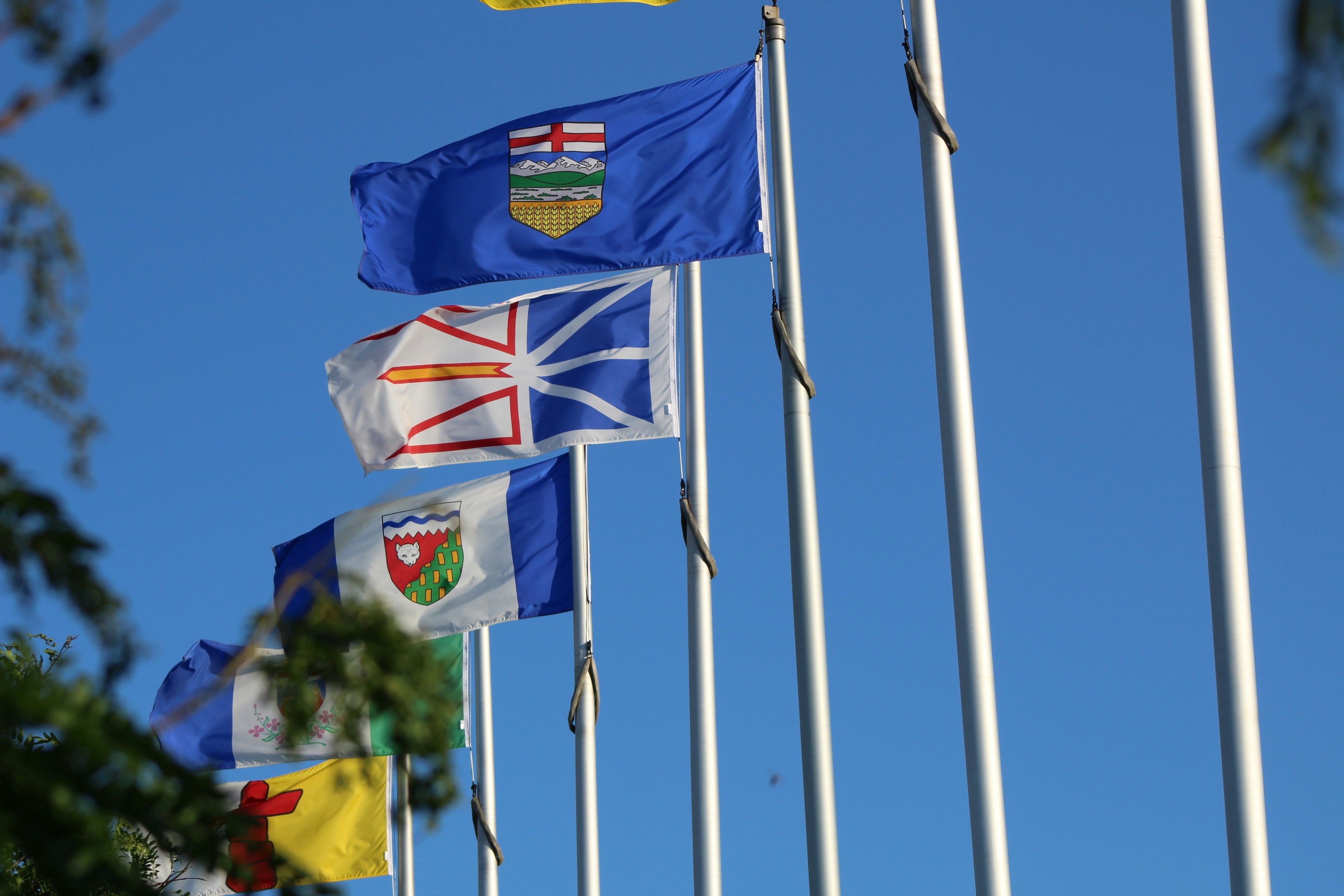 Flags in clear blue sky: a row of crests fluttering in the wind