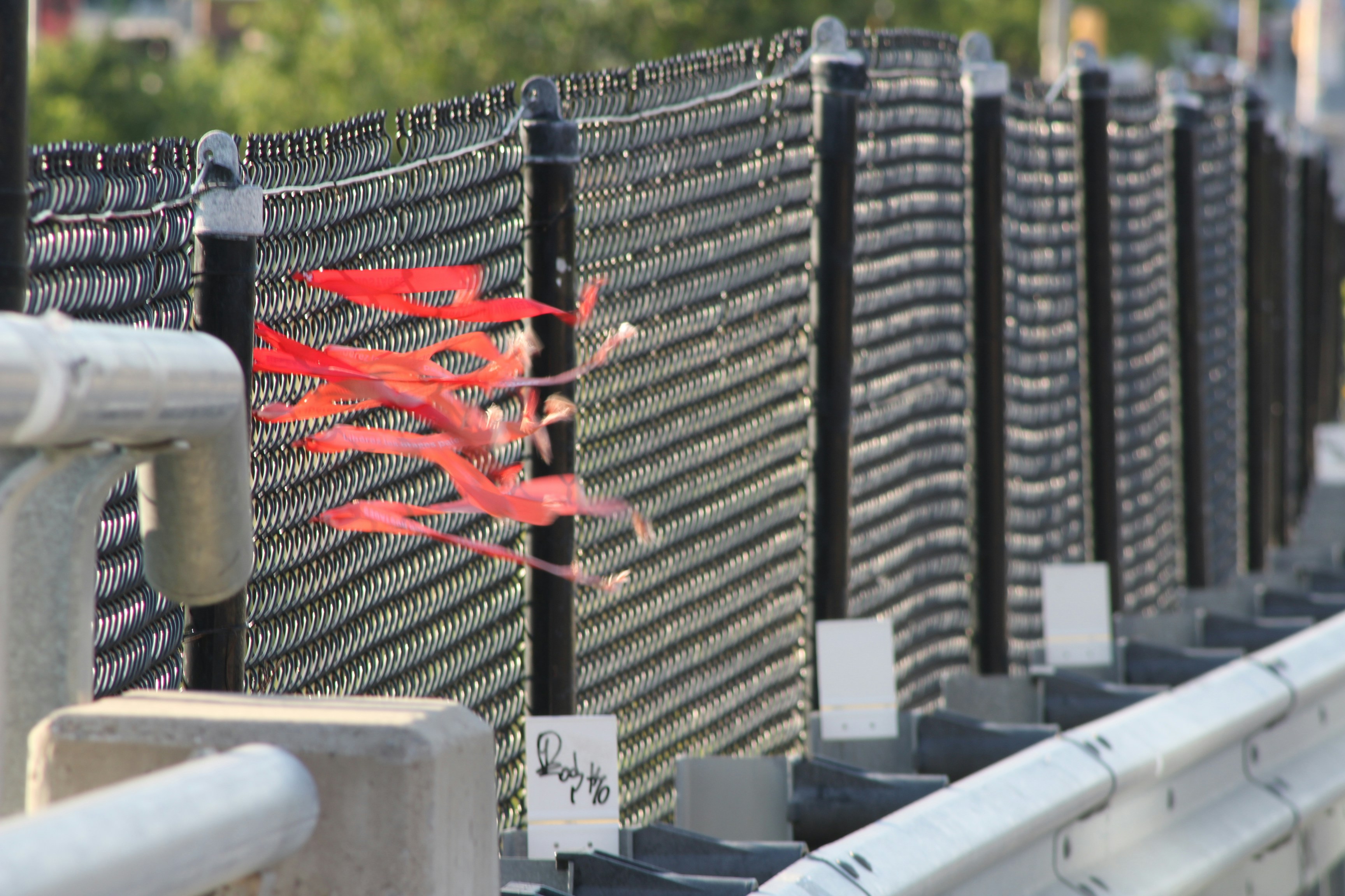 Red Sprigs at the Fence Line