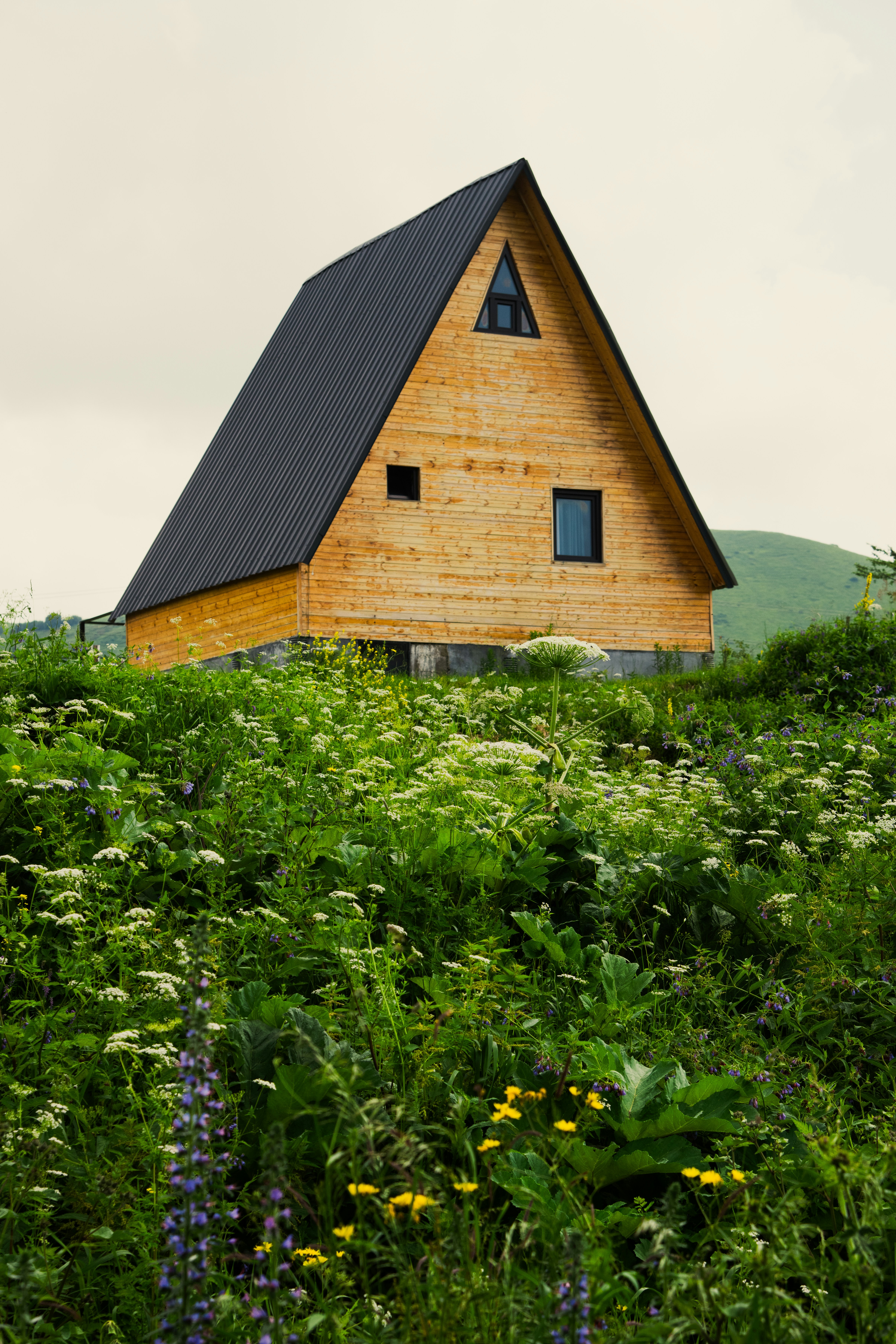 A-frame Sanctuary Rising from a Field of Wildflowers