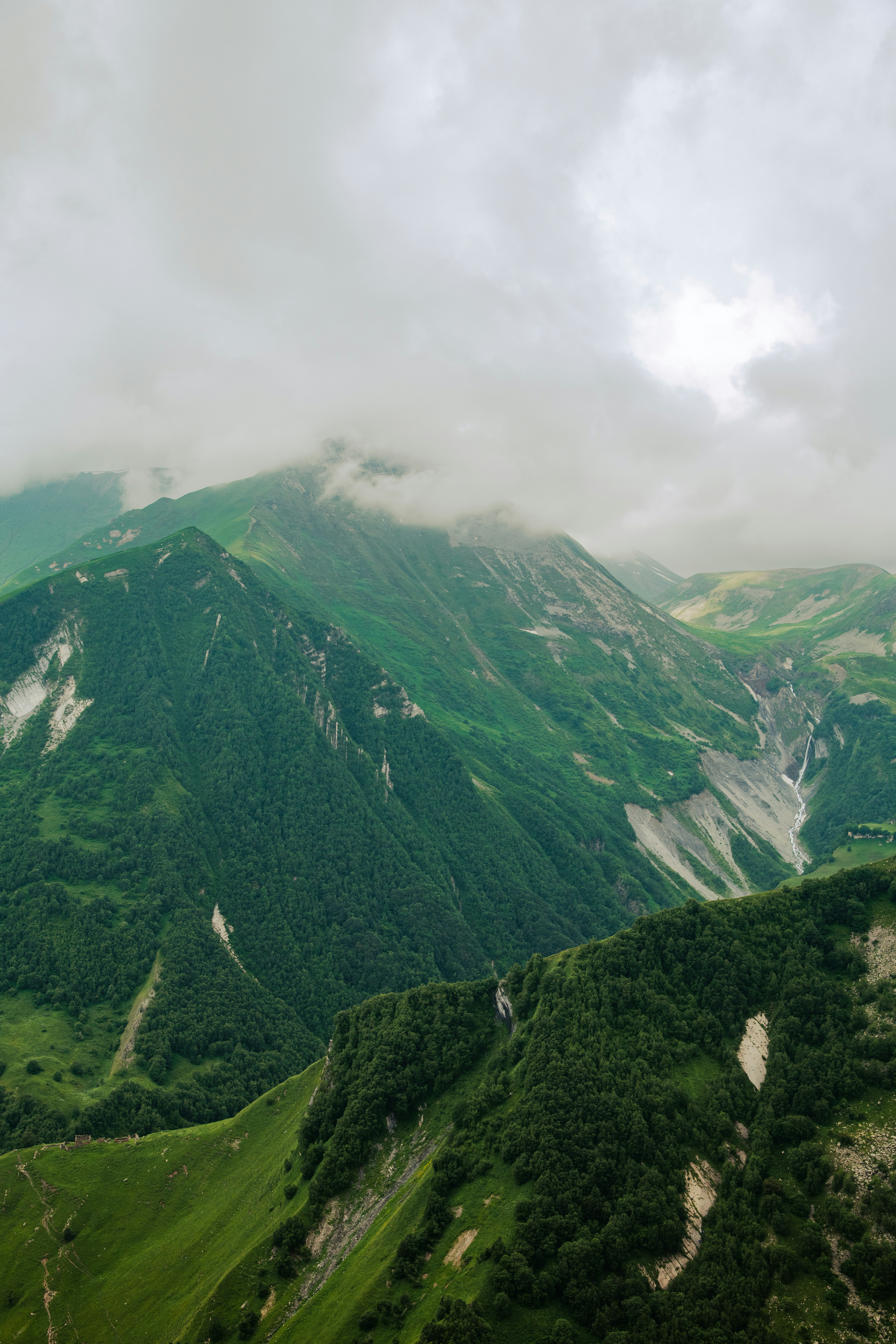 Verdant Ridge Beneath the Mist