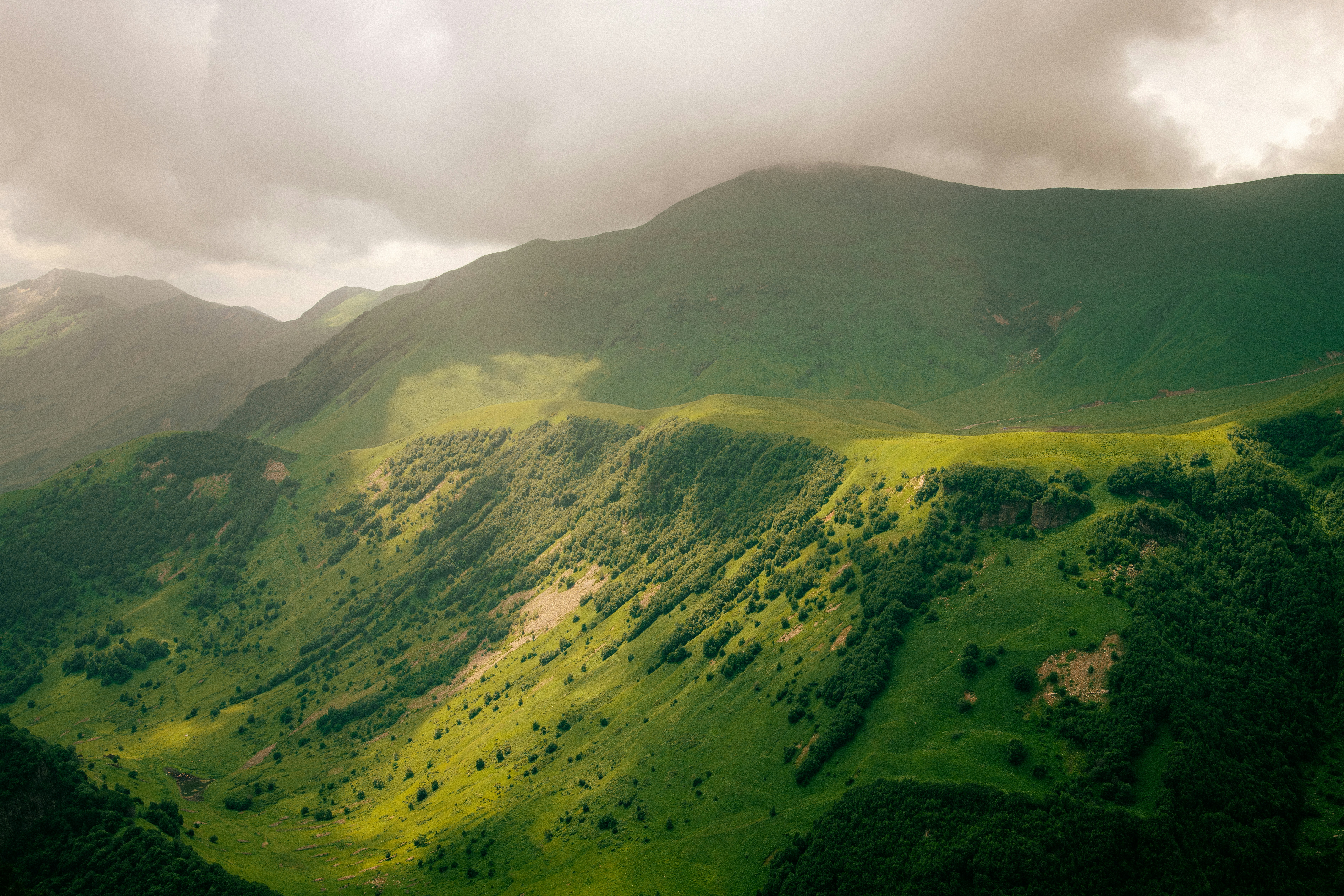 Green Serpent of the Highlands under Mist