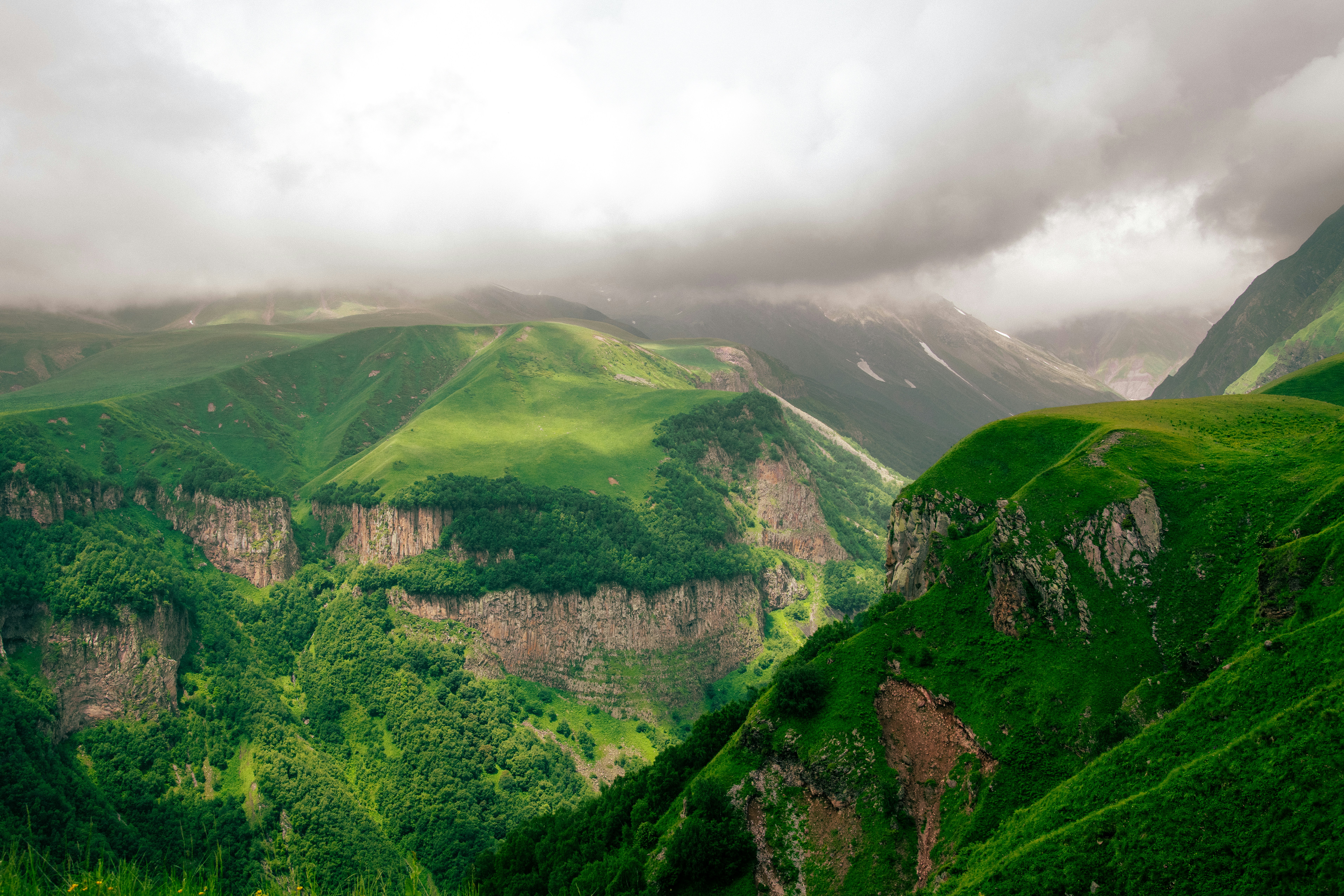 Emerald Ravine Under Verdant Skies