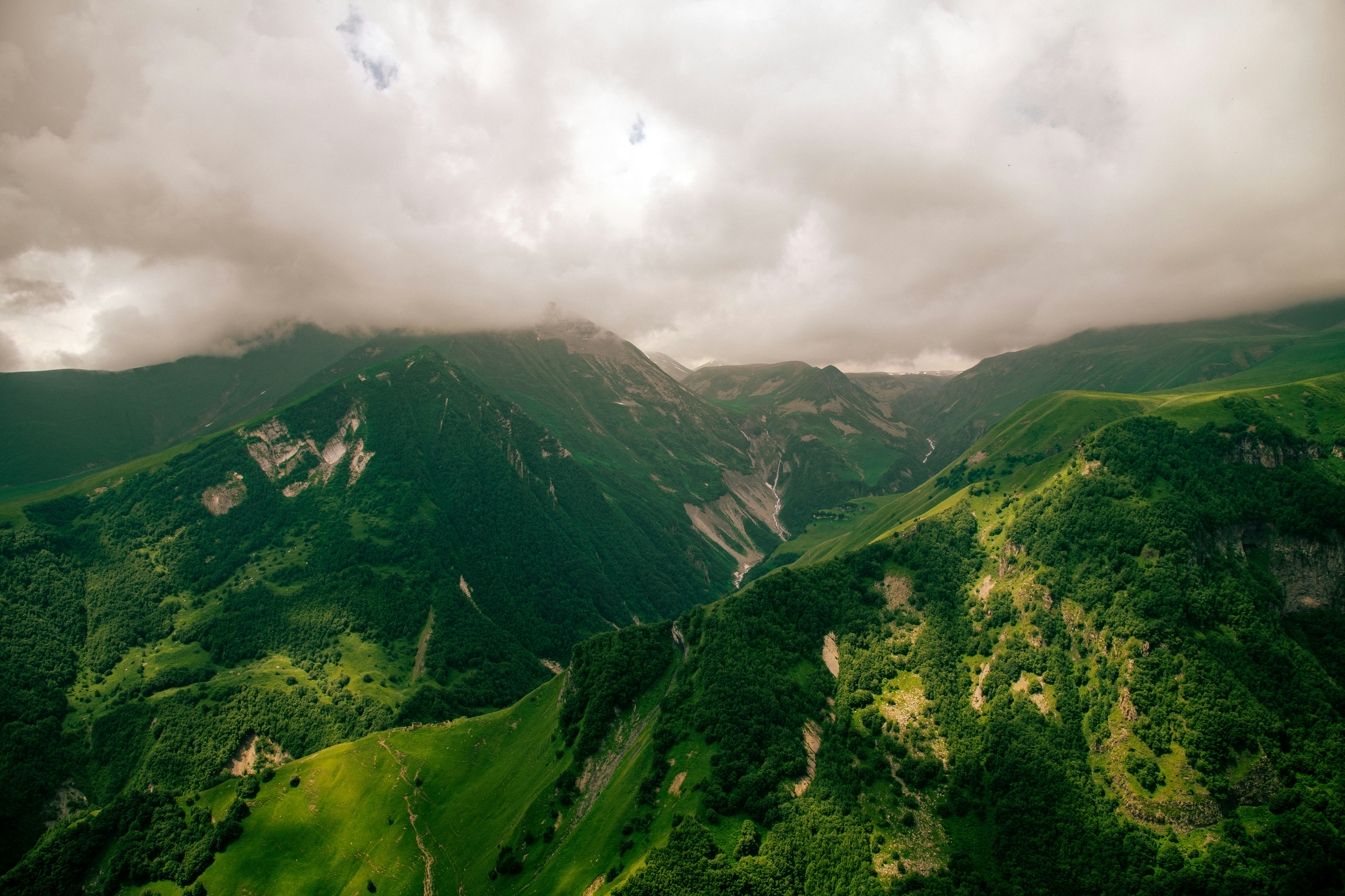 Emerald Ridges Beneath an Overcast Crown