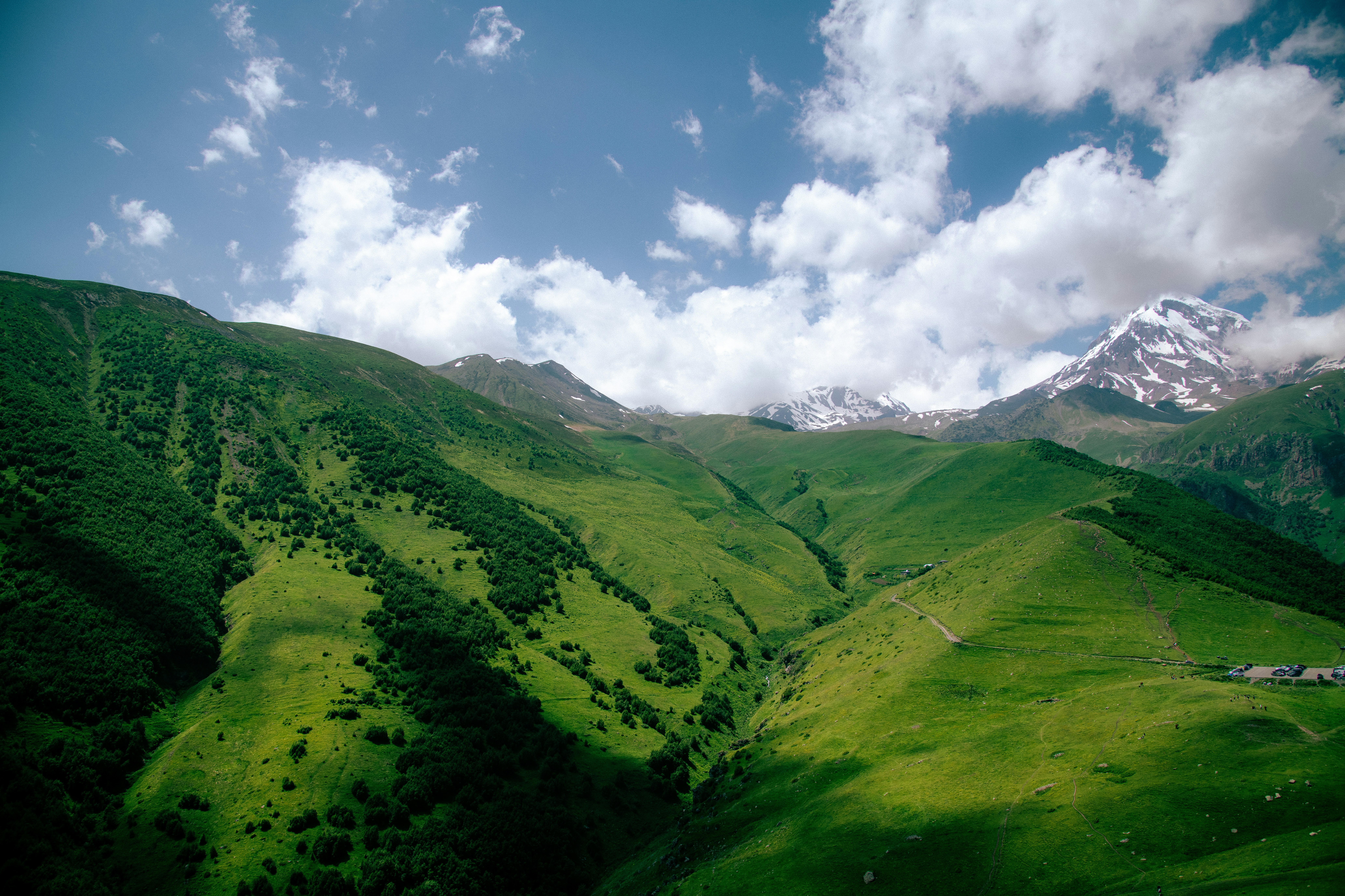 Verdant Slope Mosaic: A Quiet Ridge under Open Sky