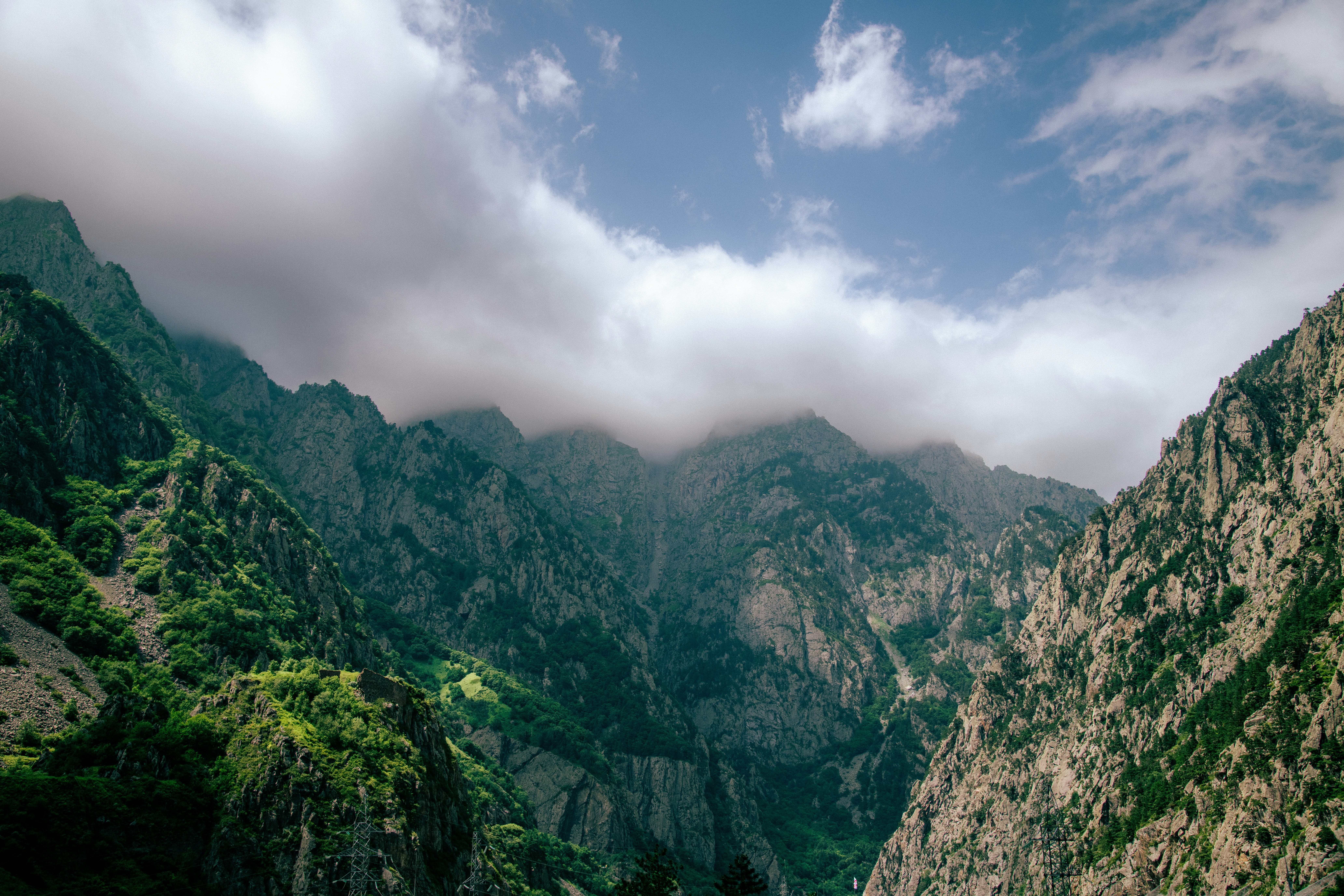 Misty Rimline: Guardians of the Alpine Gorge