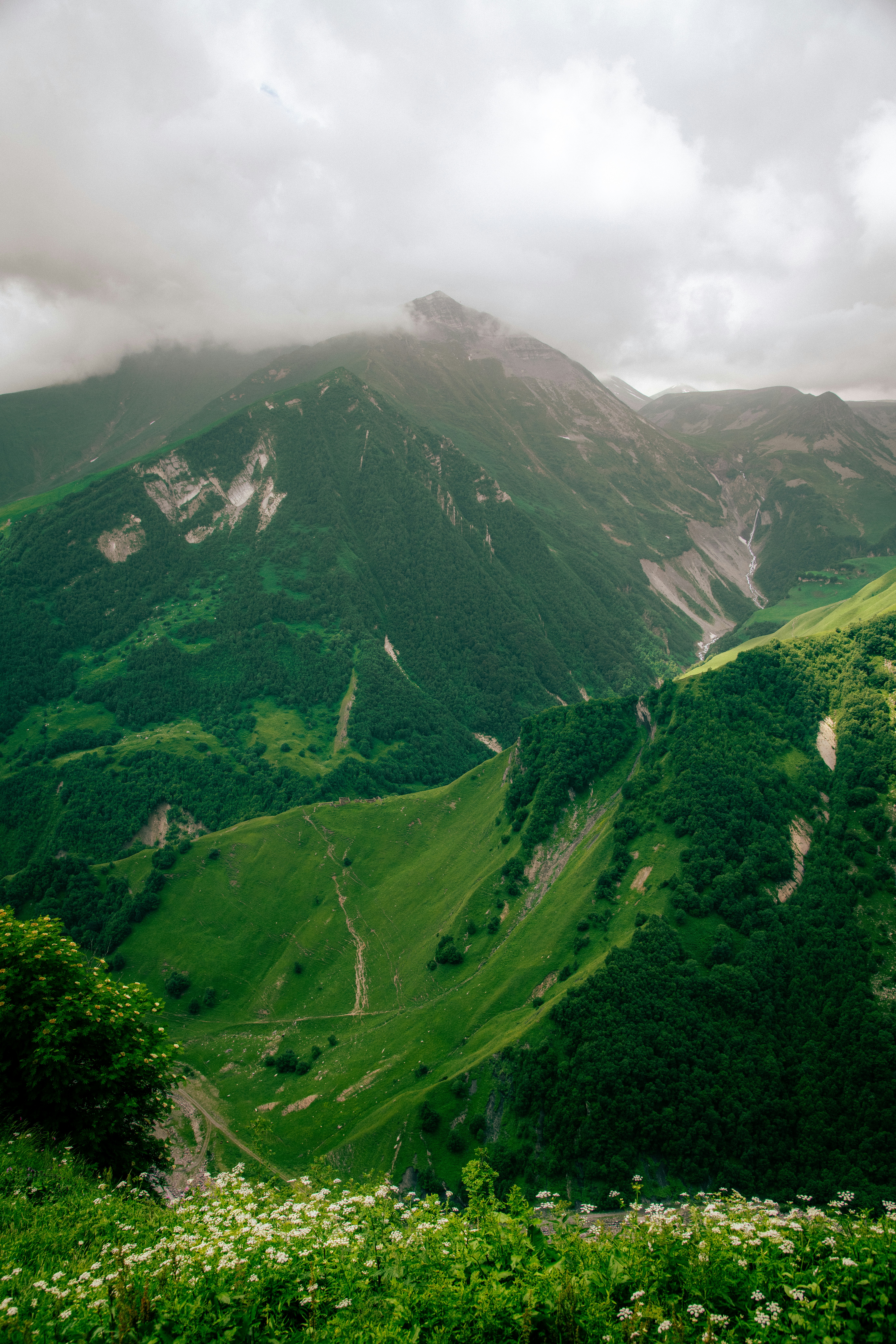 Emerald Valleys Undulating Toward a Mist-Wrapped Summit