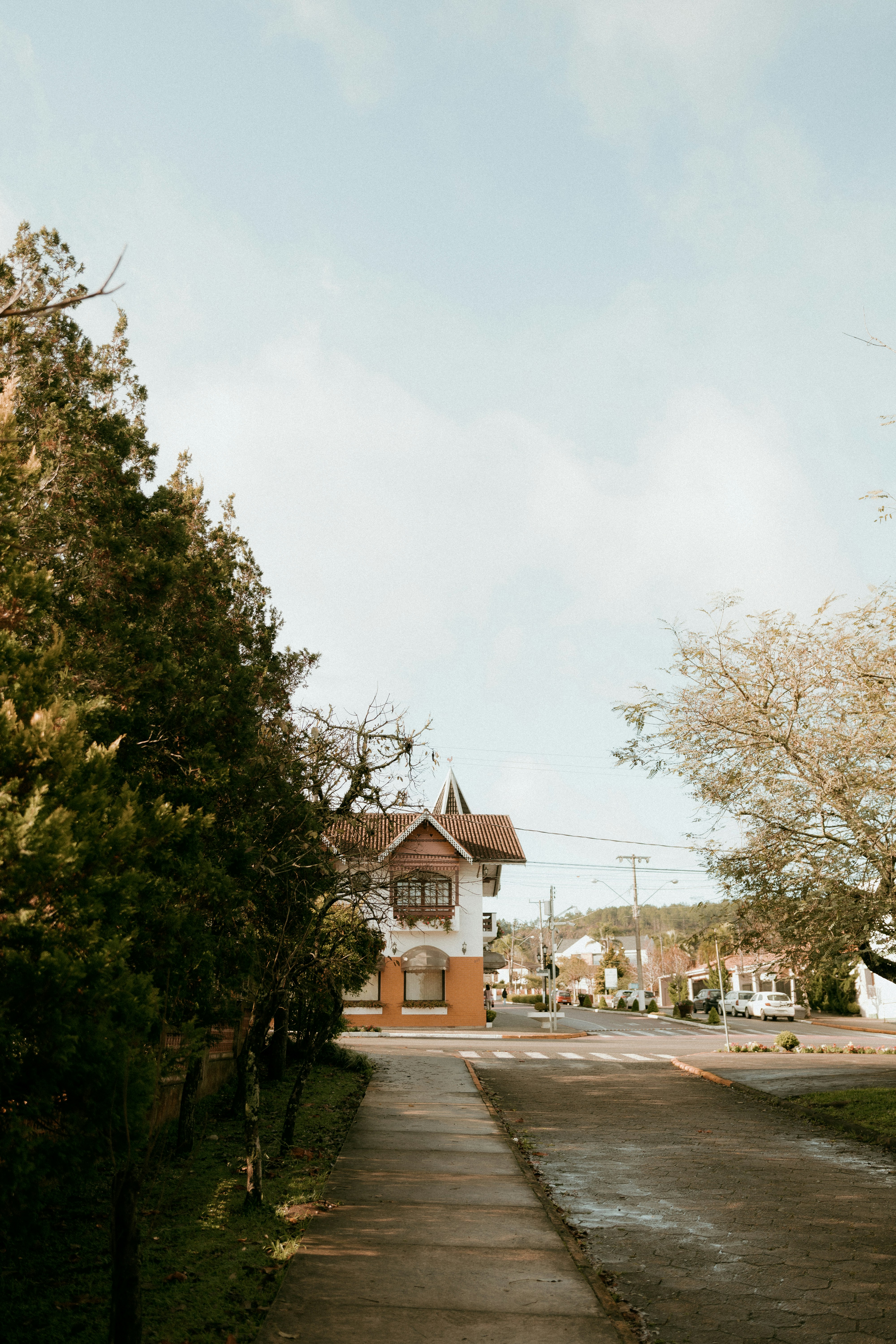 Quiet Streetcorner Facade: A Small Town Tucked Between Sky and Trees