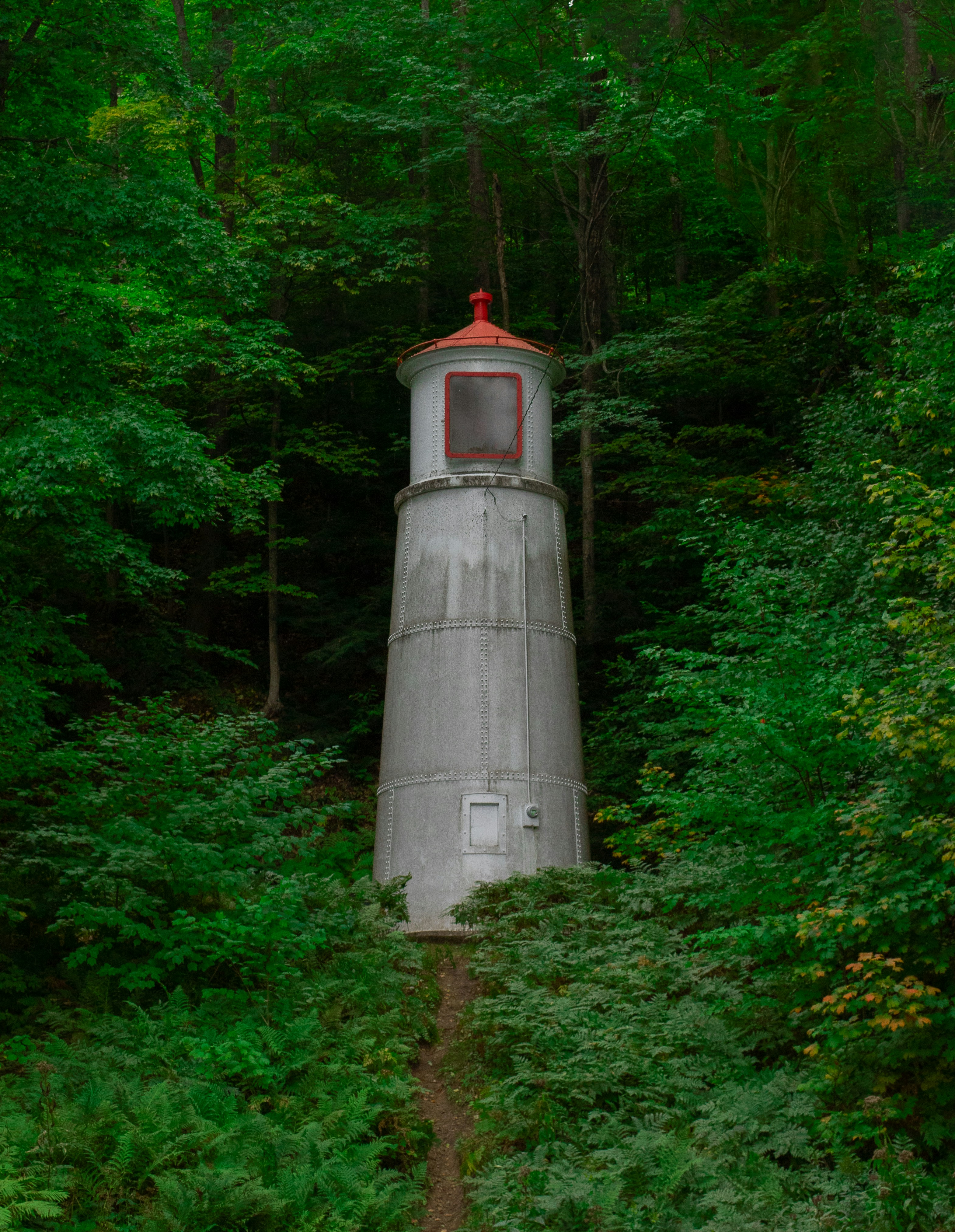 Forest Sentinel: a Weathered Lighthouse in Dense Greenery