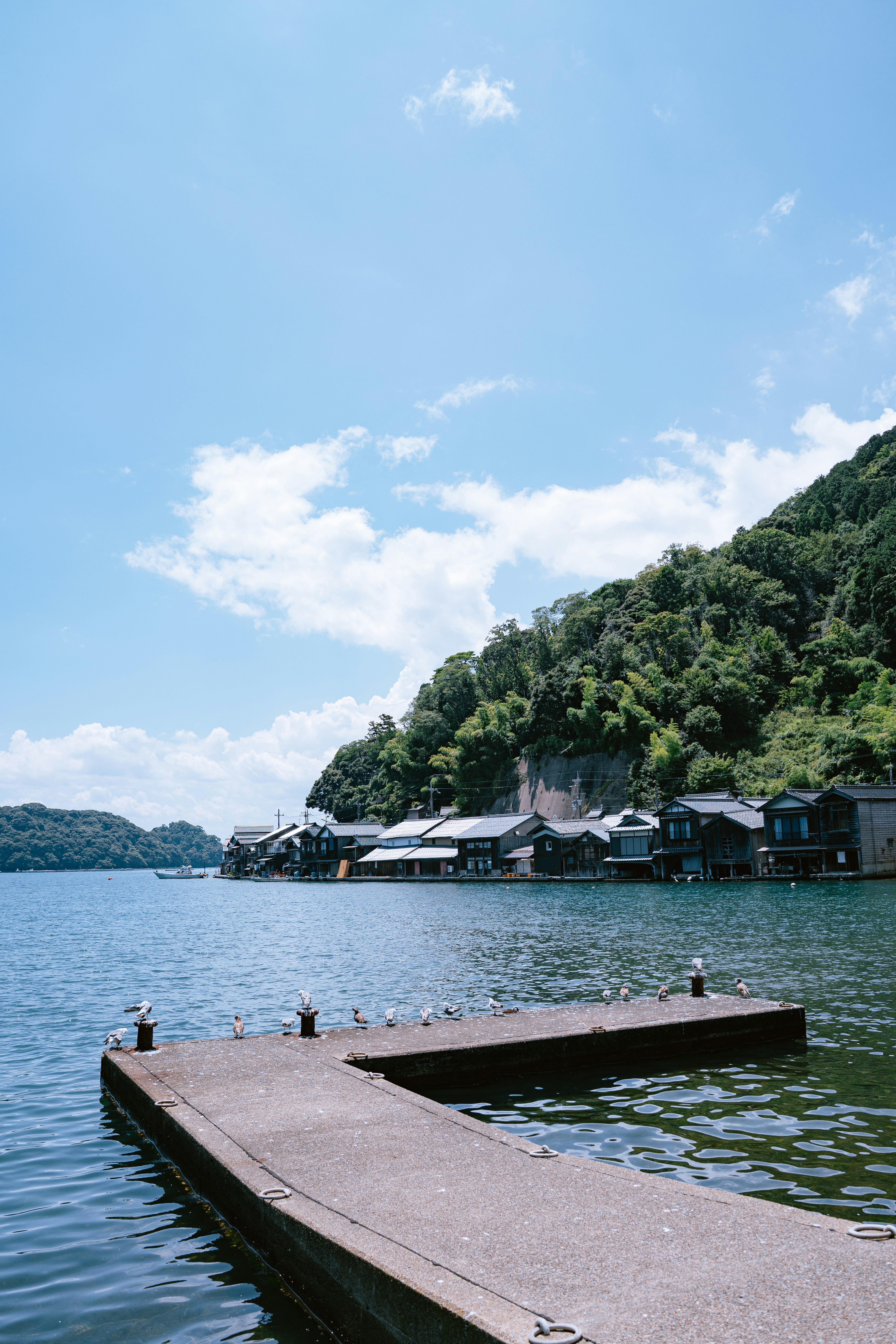 Harbor Village at the Foot of the Green Hills