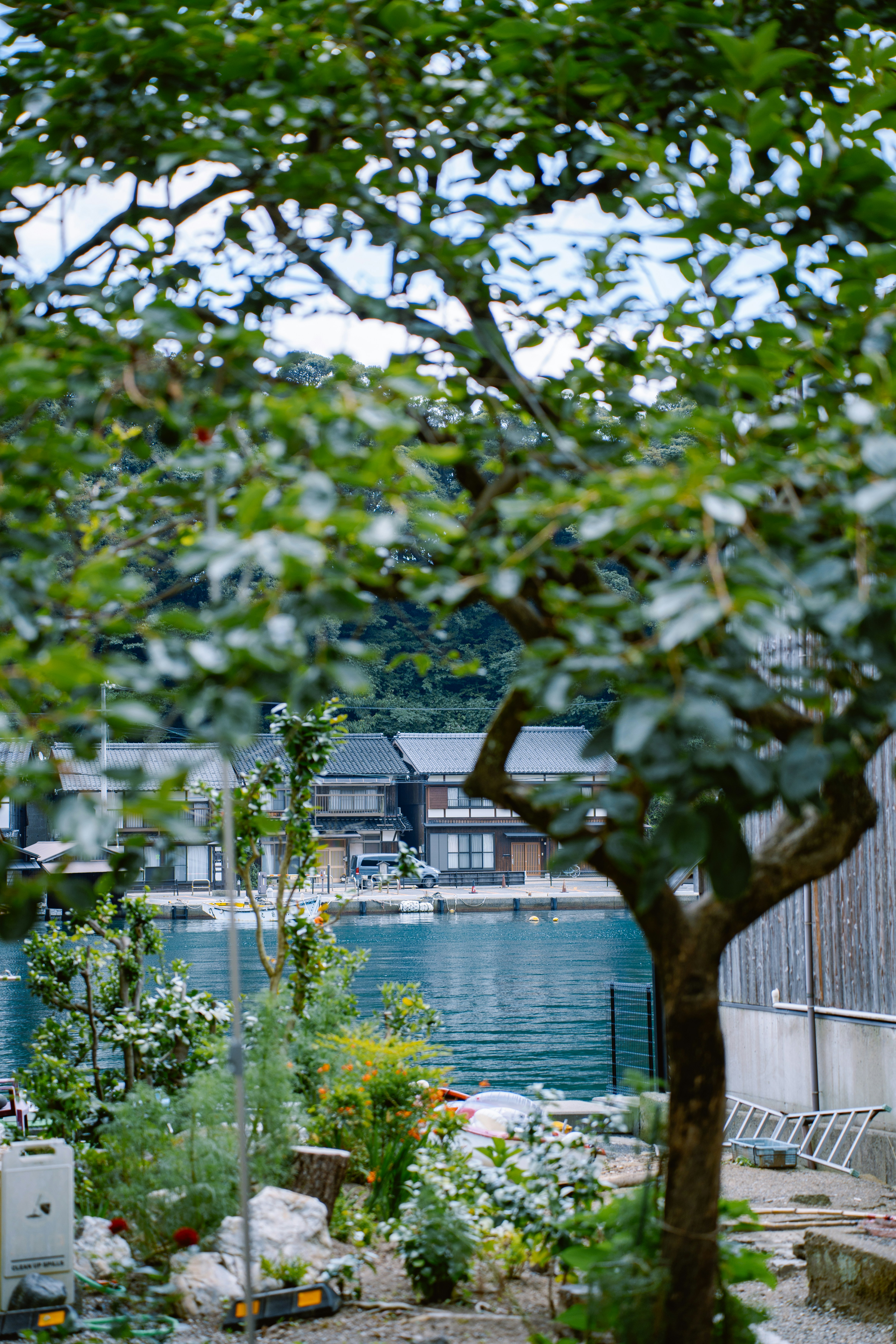 Quiet Harbor Through a Framing Tree