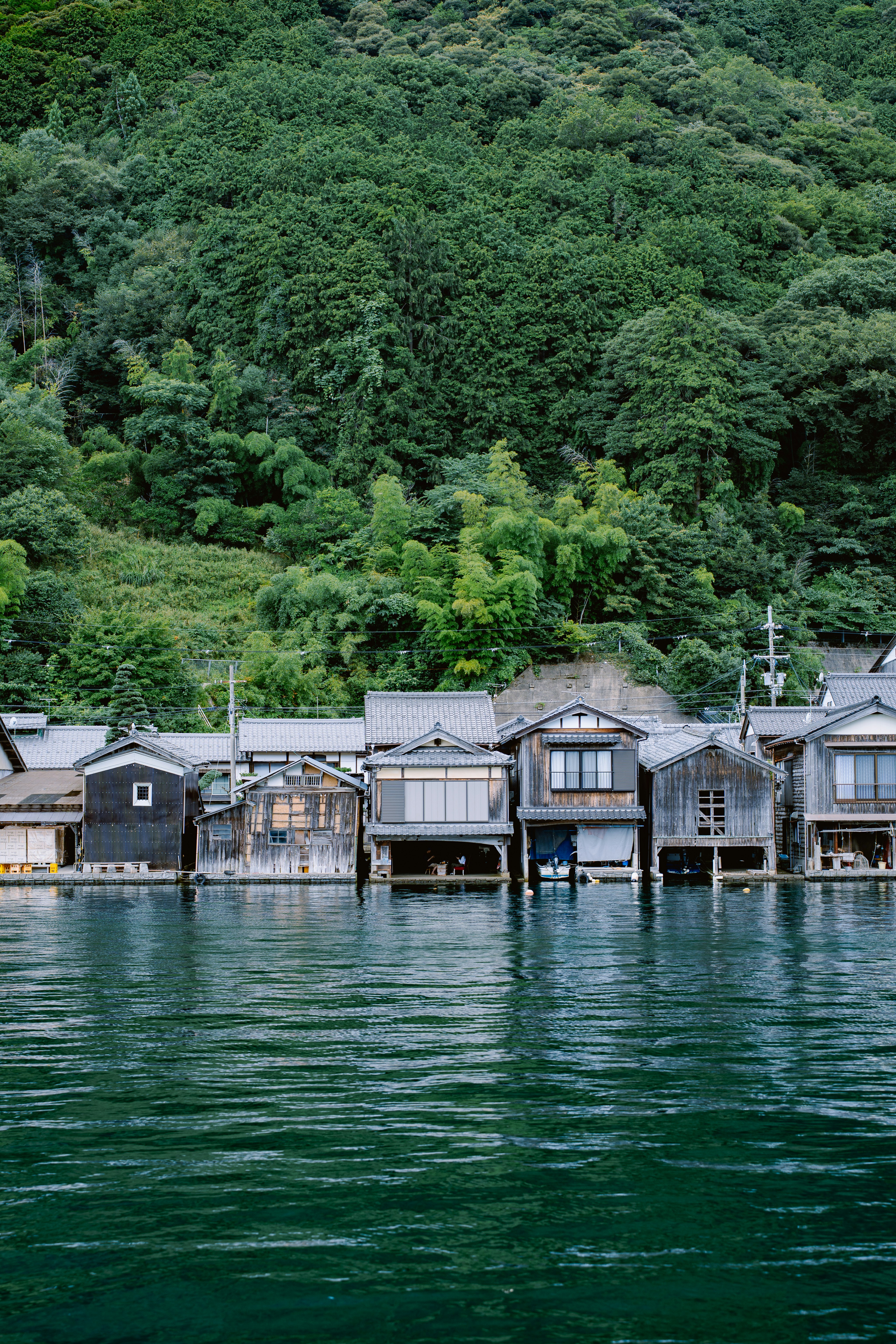 Houseboats at the Edge of a Quiet Fjord