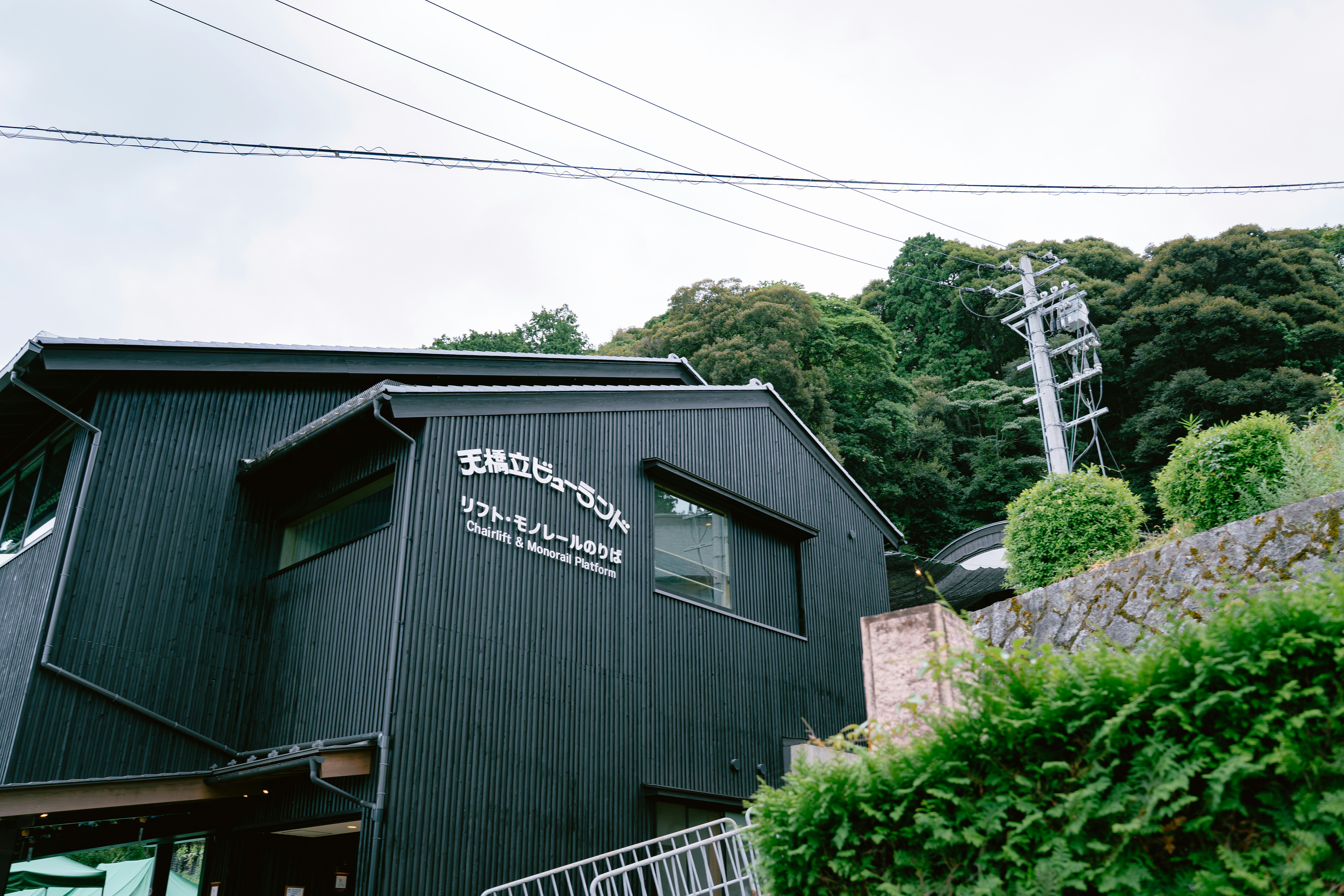 Monochrome Exterior: A Modern Dark Wood Building Nestled by Greenery