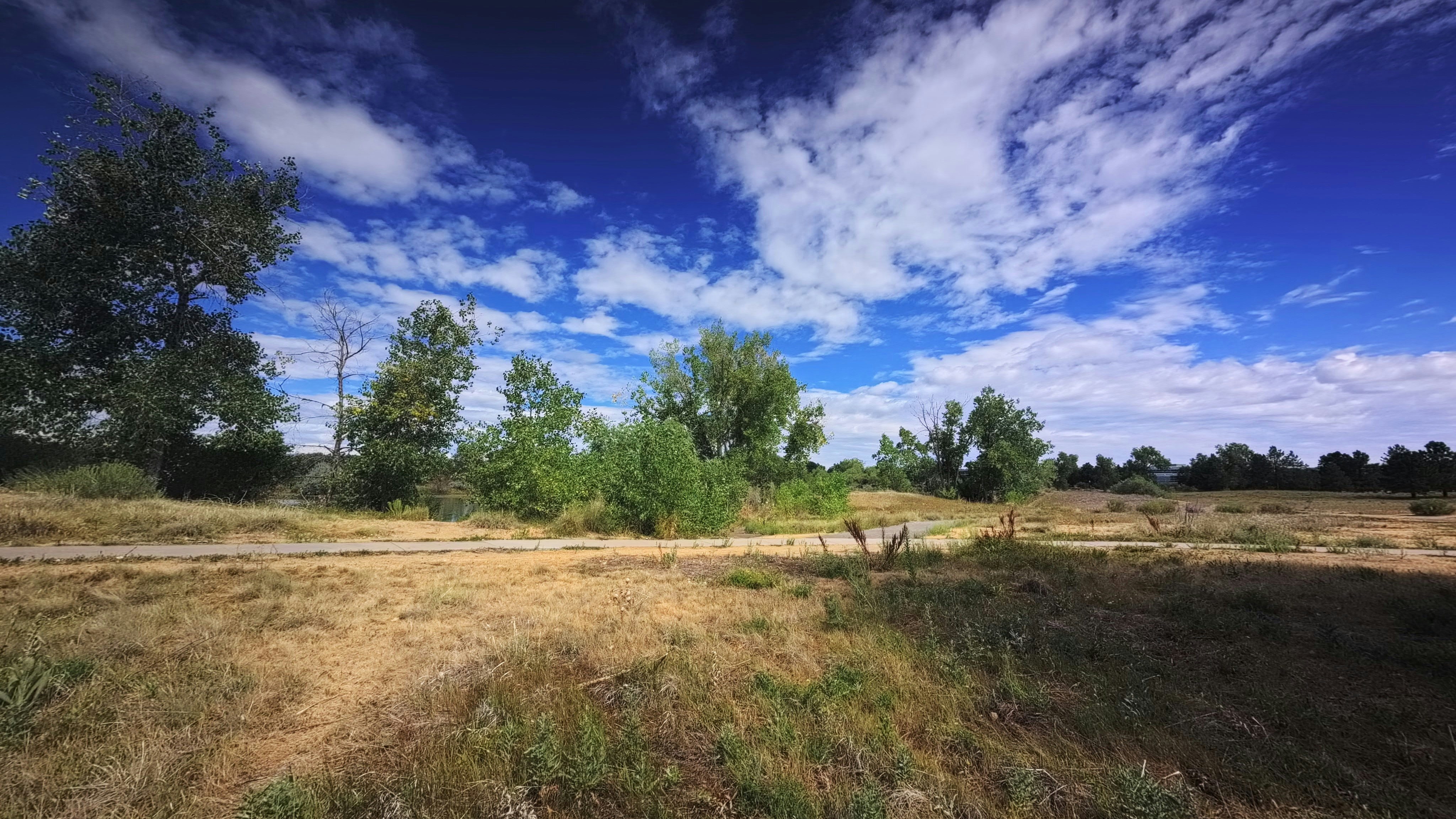 Expansive field with sparse trees under a bright, partly cloudy sky.