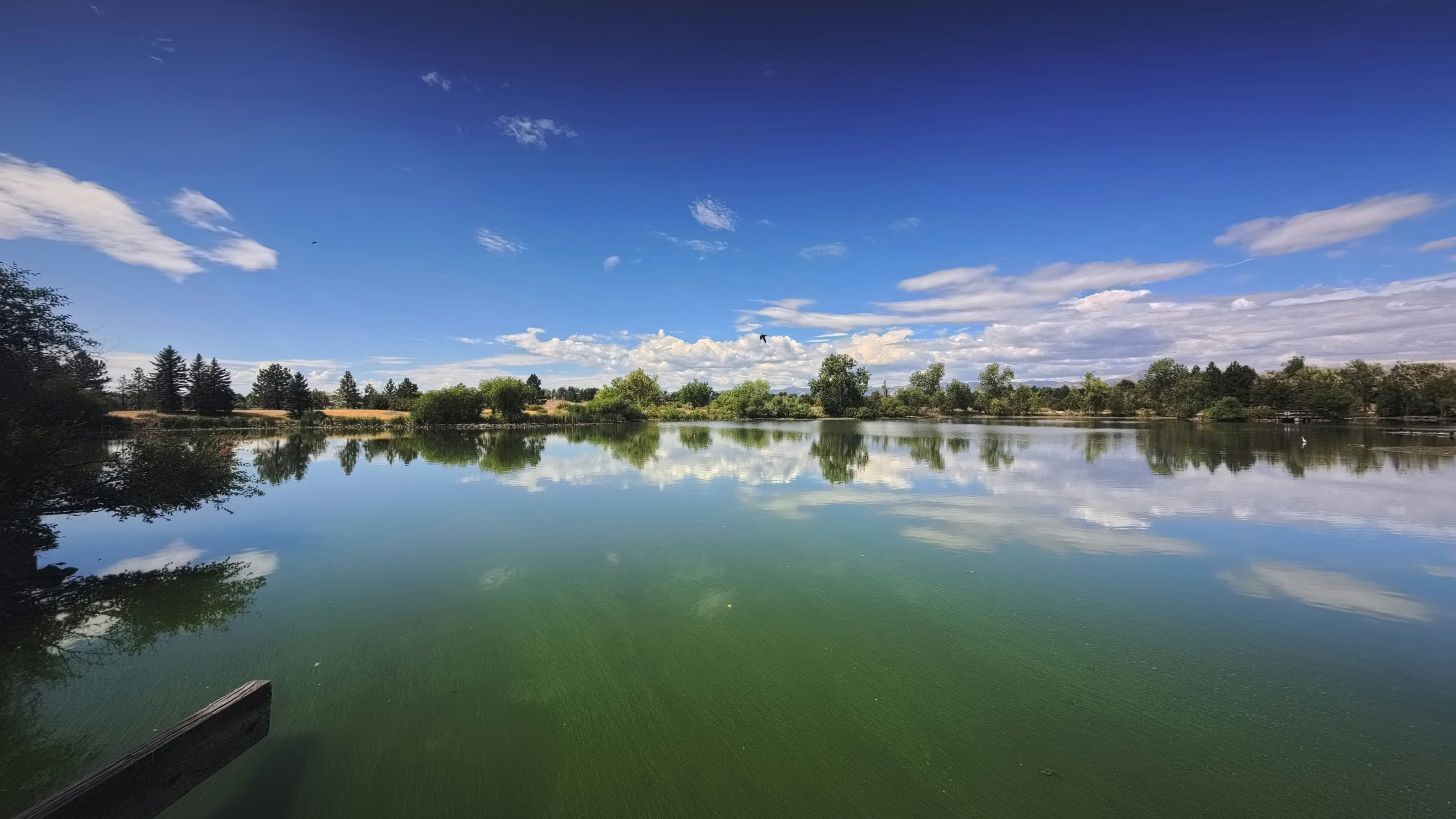 A tranquil lake mirrors a bright blue sky with scattered clouds, framed by distant trees and a wooden dock edge; a serene landscape capture without people, emphasizing still water and expansive horizon.