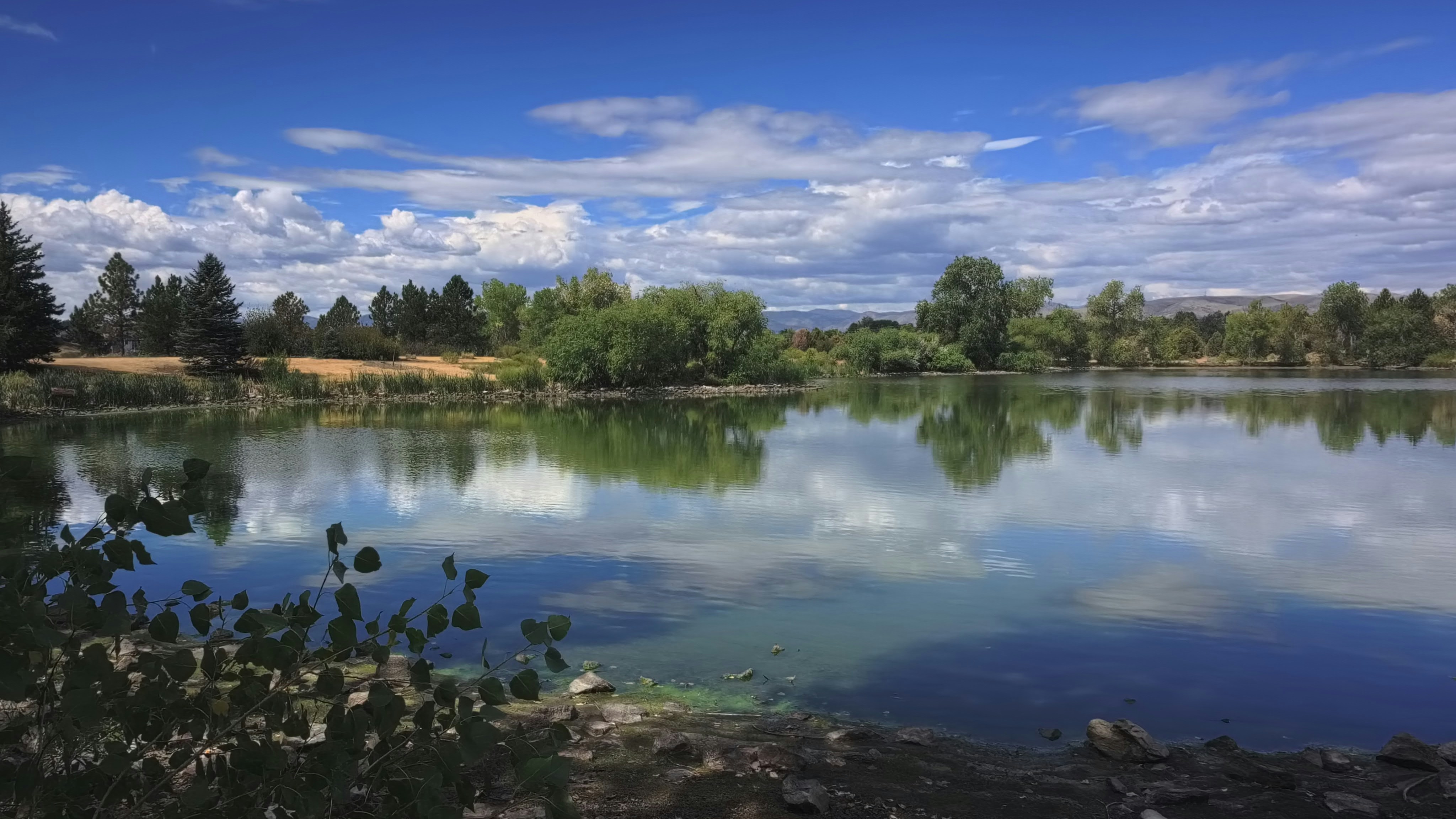 Verdant Lake Reverie: Calm Water Reflecting a Sky-Scape