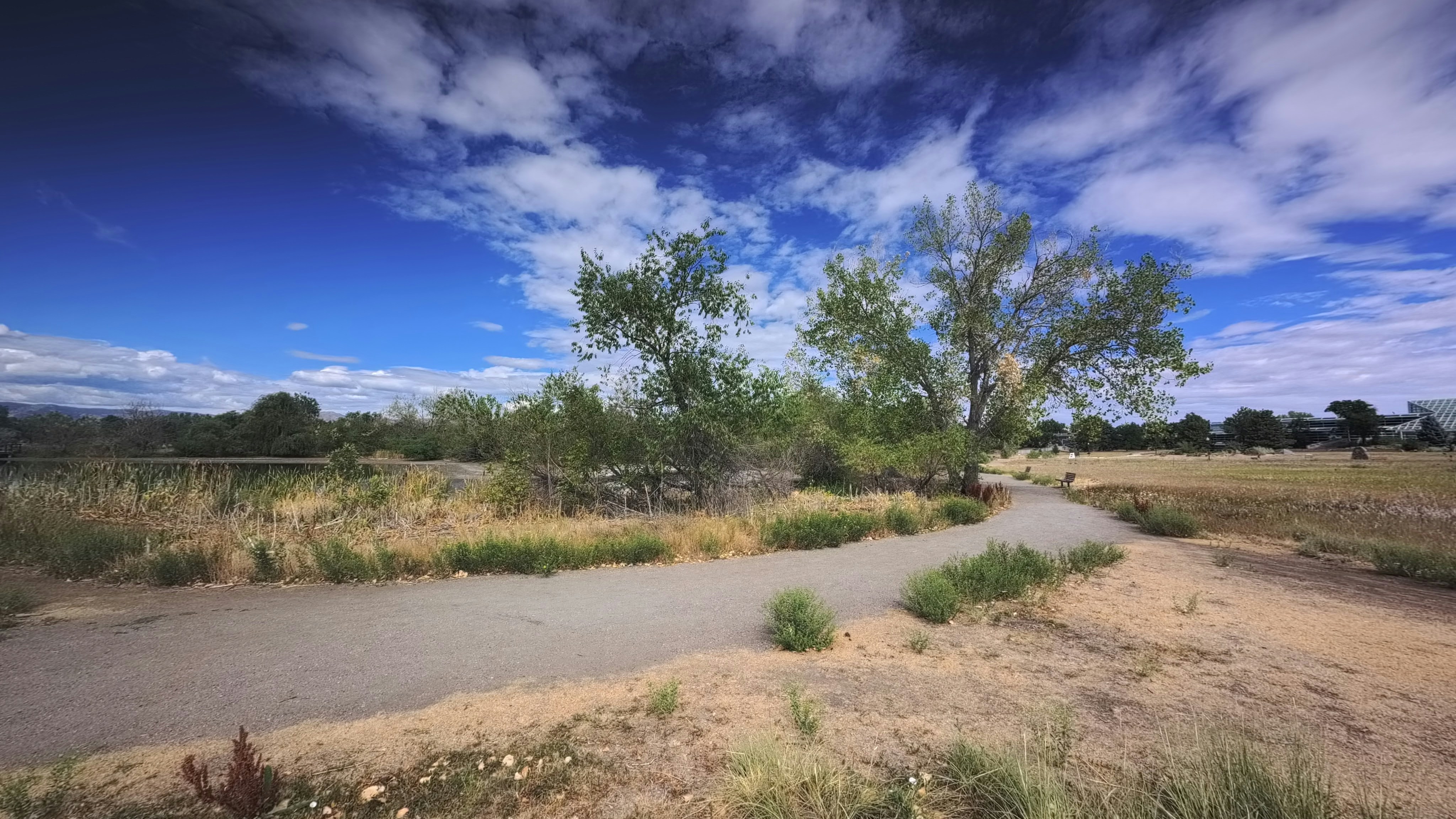 Riverside Trail Opens to a Sky-Swept Meadow