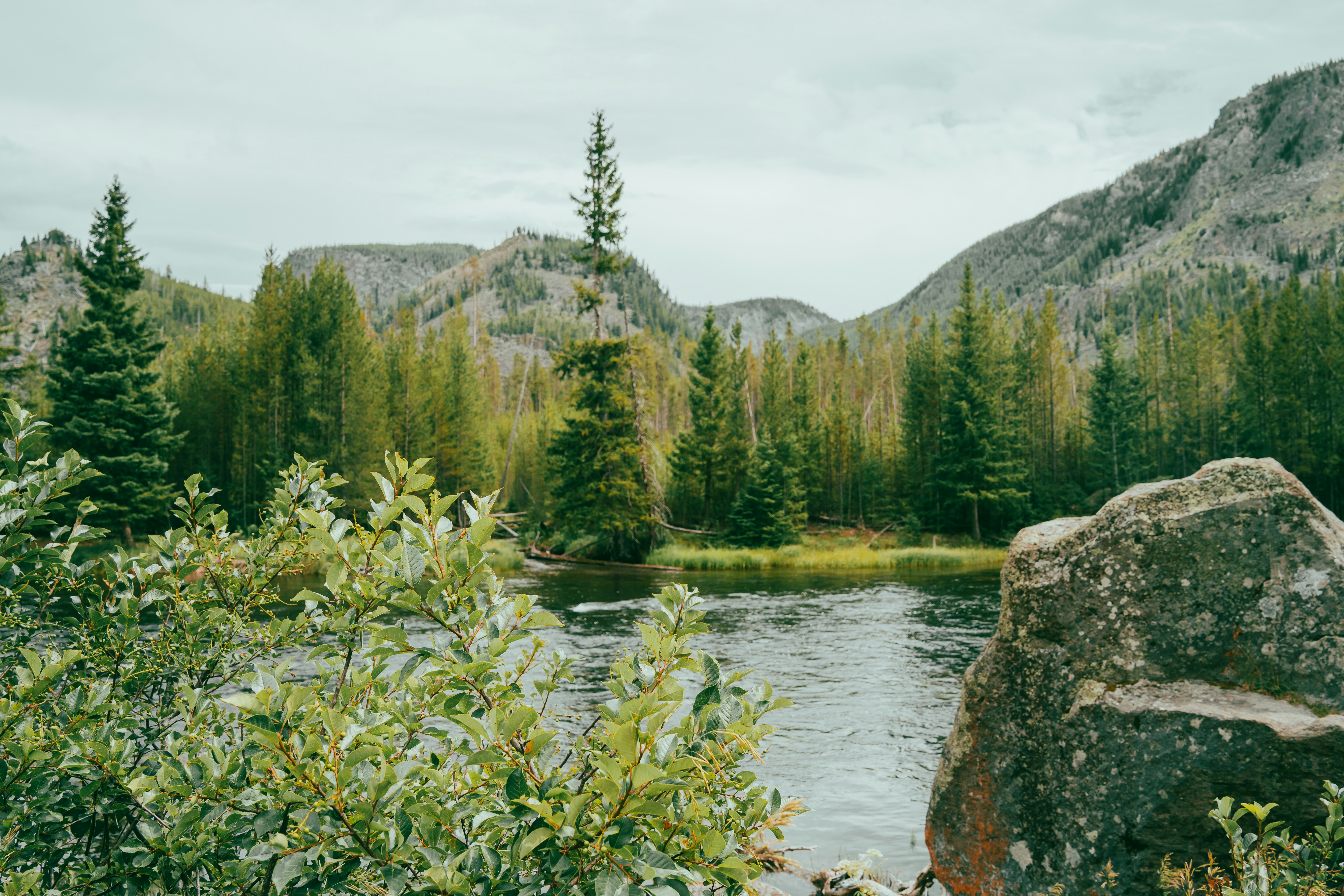Quiet Riverside Refuge Between Pines and Granite