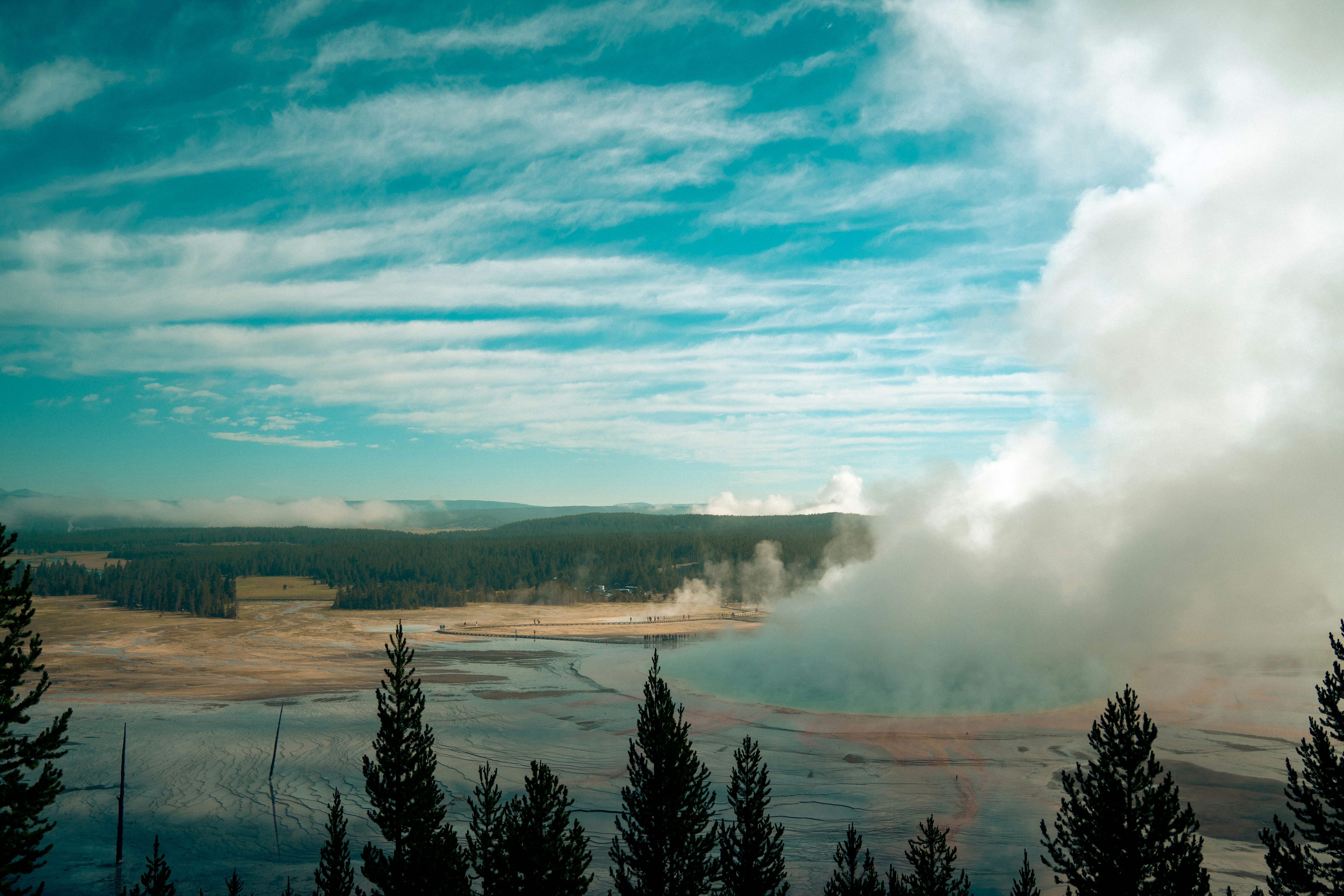 Steam Veil Over a Conifer Rim
