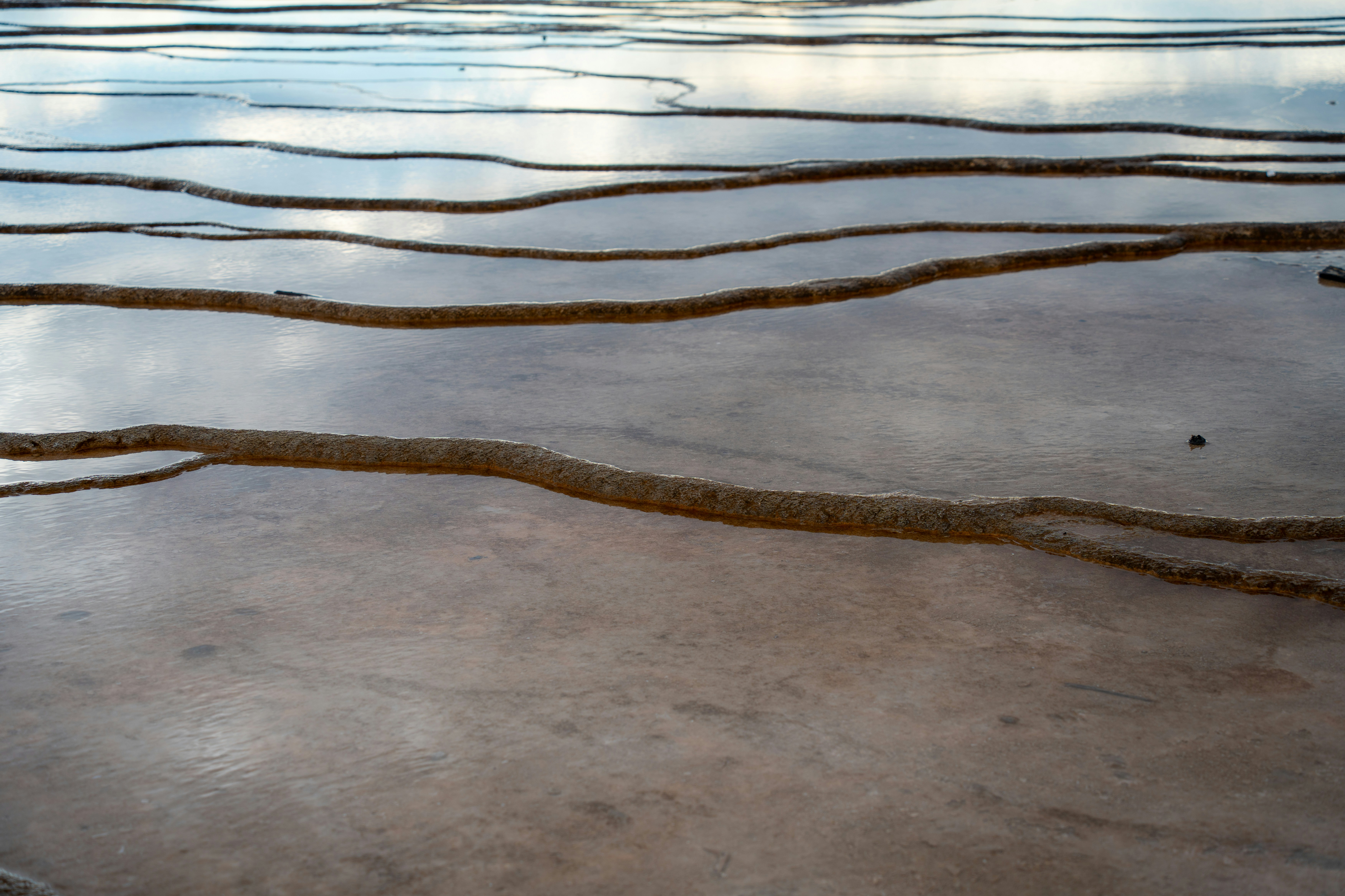 Terraced Waters: Mudstone Pools Reflecting a Quiet Sky