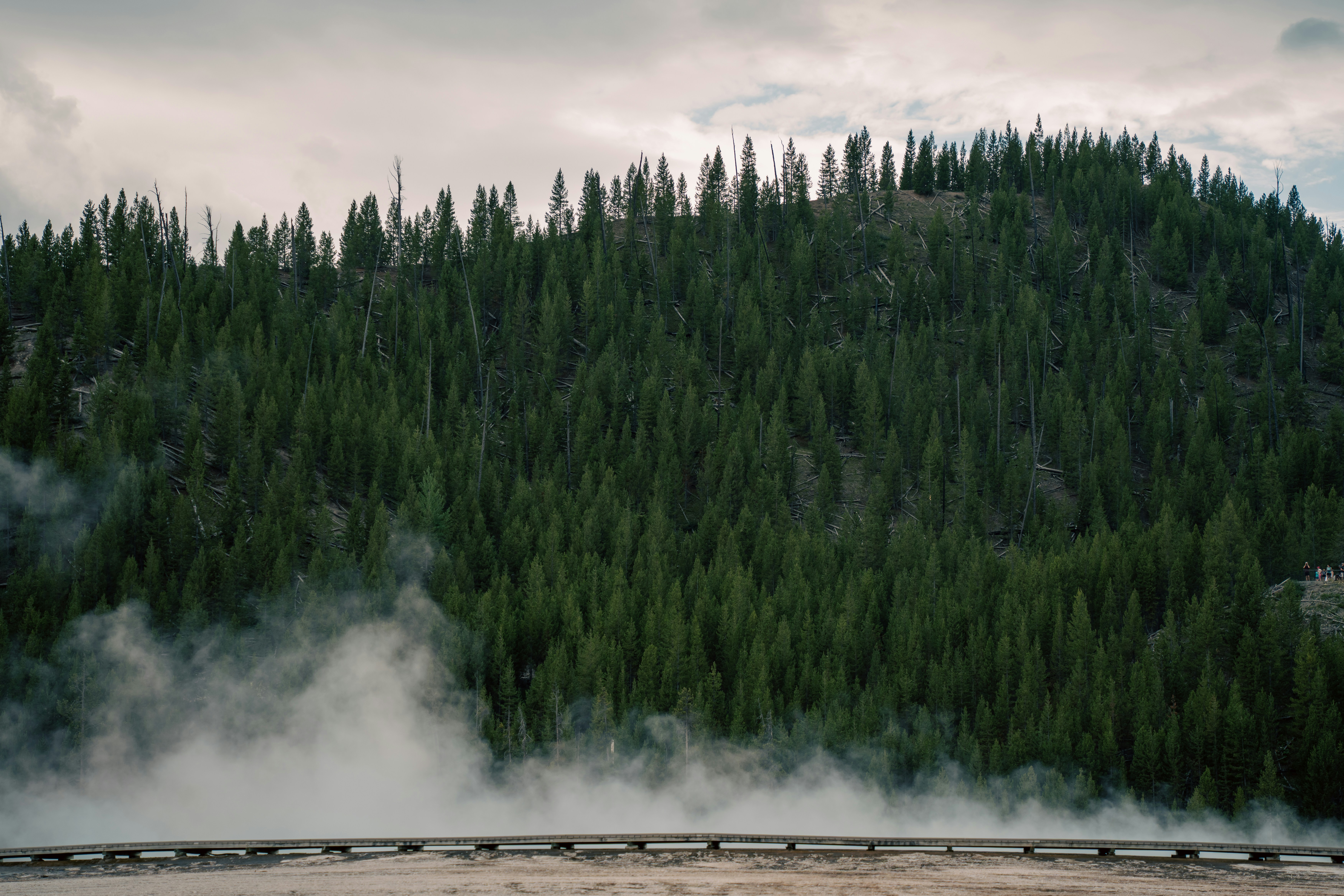 Mist Ribbons Over Pine Ridge