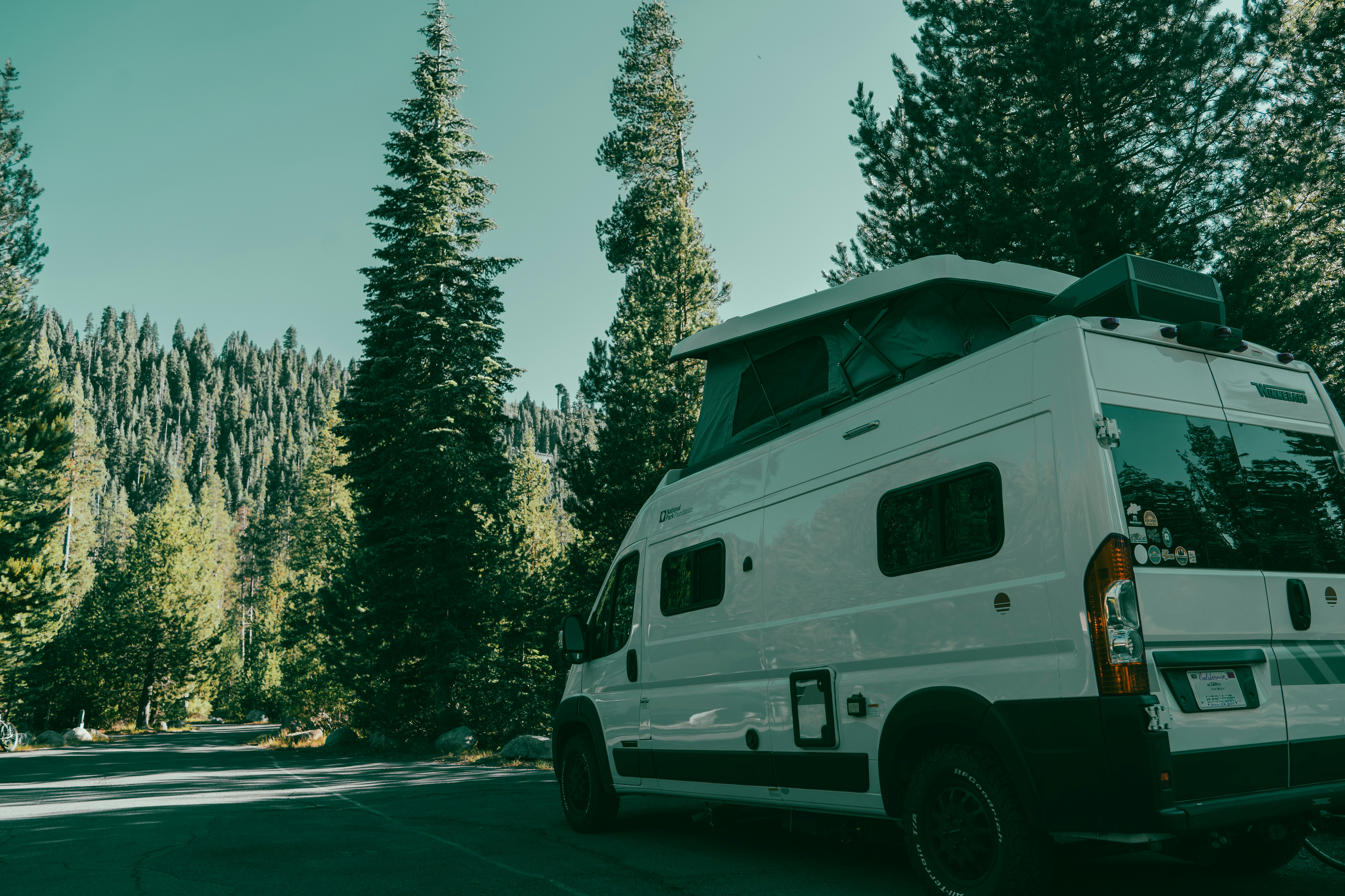 Hidden Timber Road Trip: A White Camper Van Among Ancient Pines