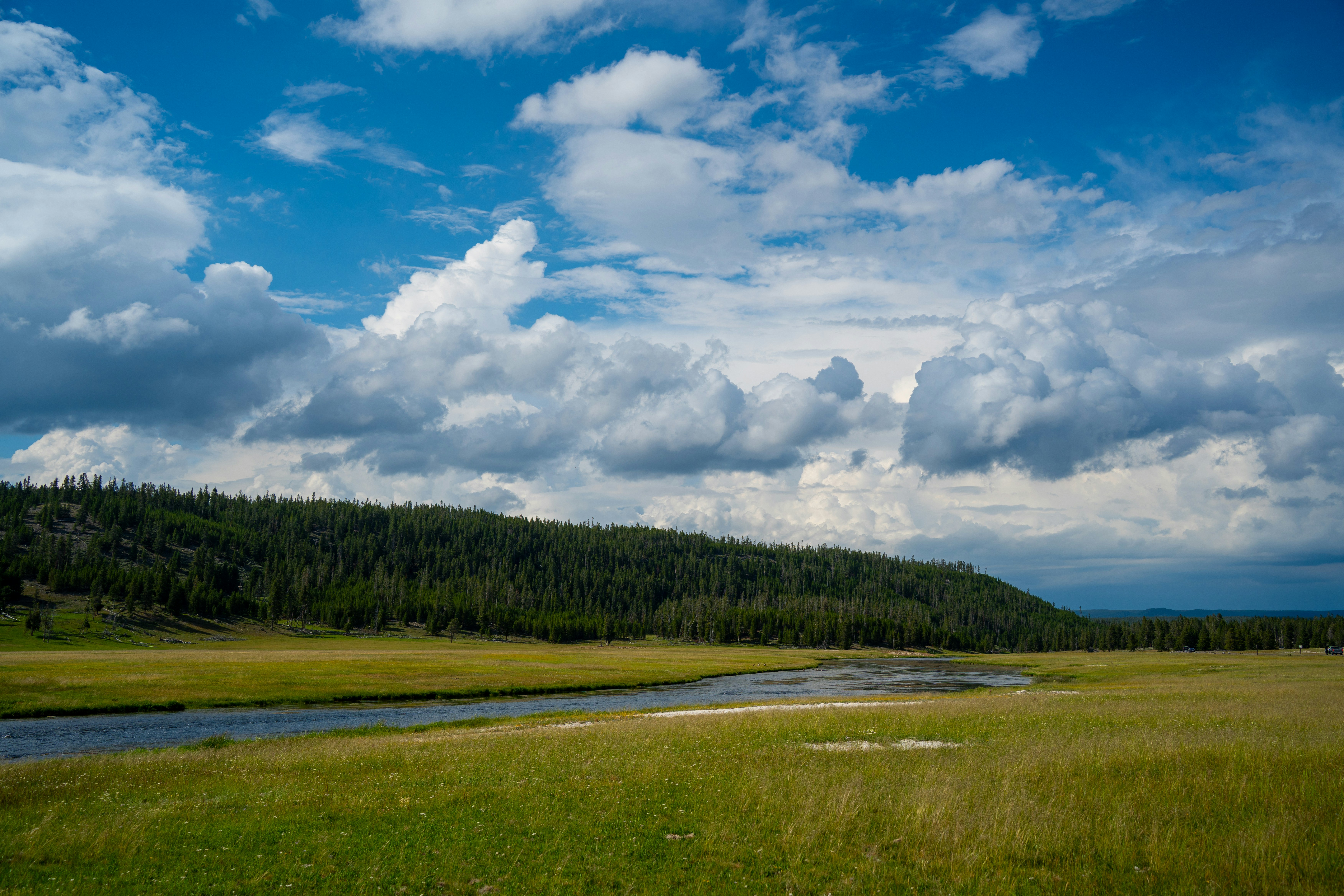 Open Sky Over Quiet Meadow by a Winding Stream