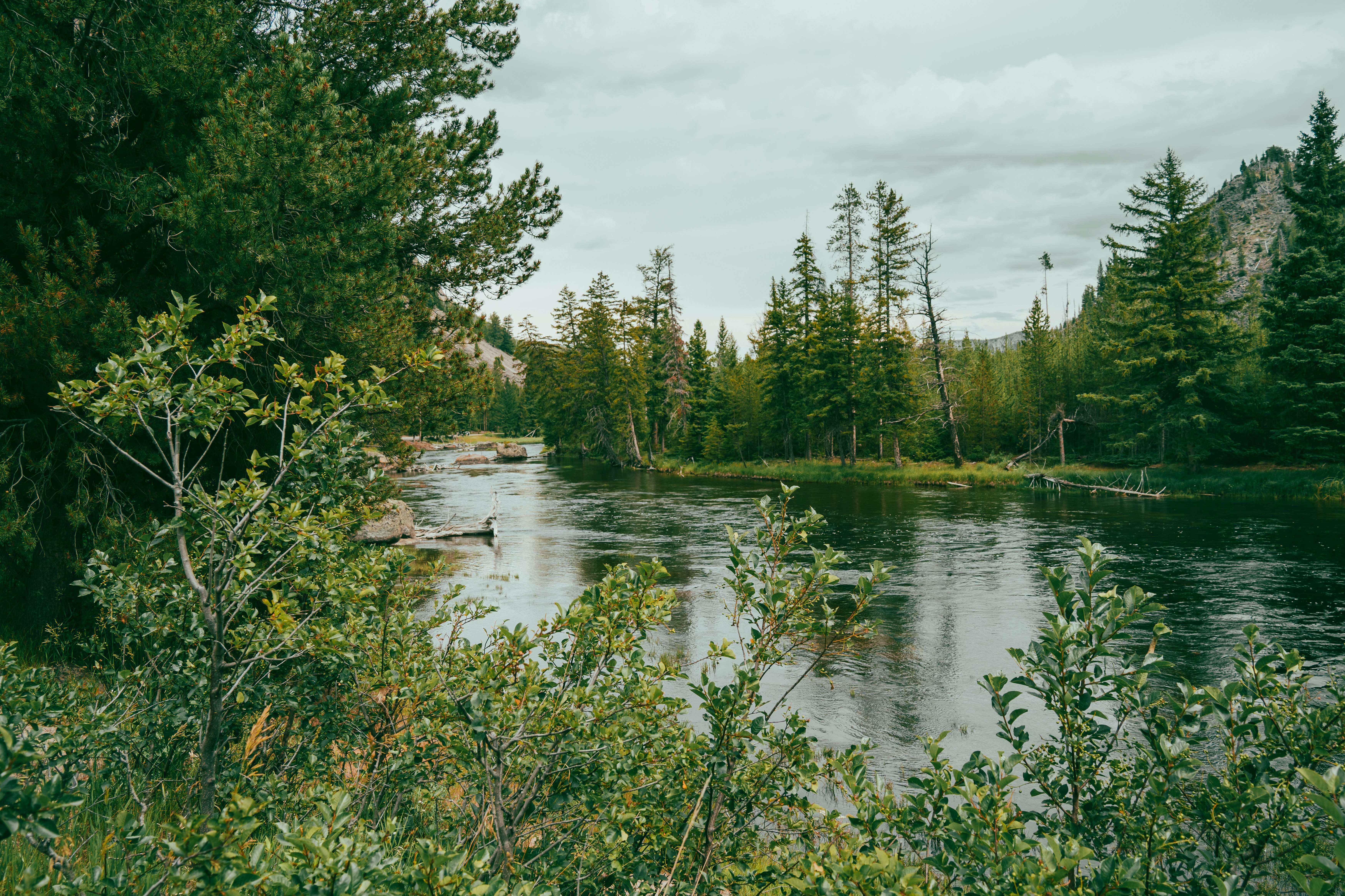 River Bend Reflections: A Quiet Weekend in the Pines