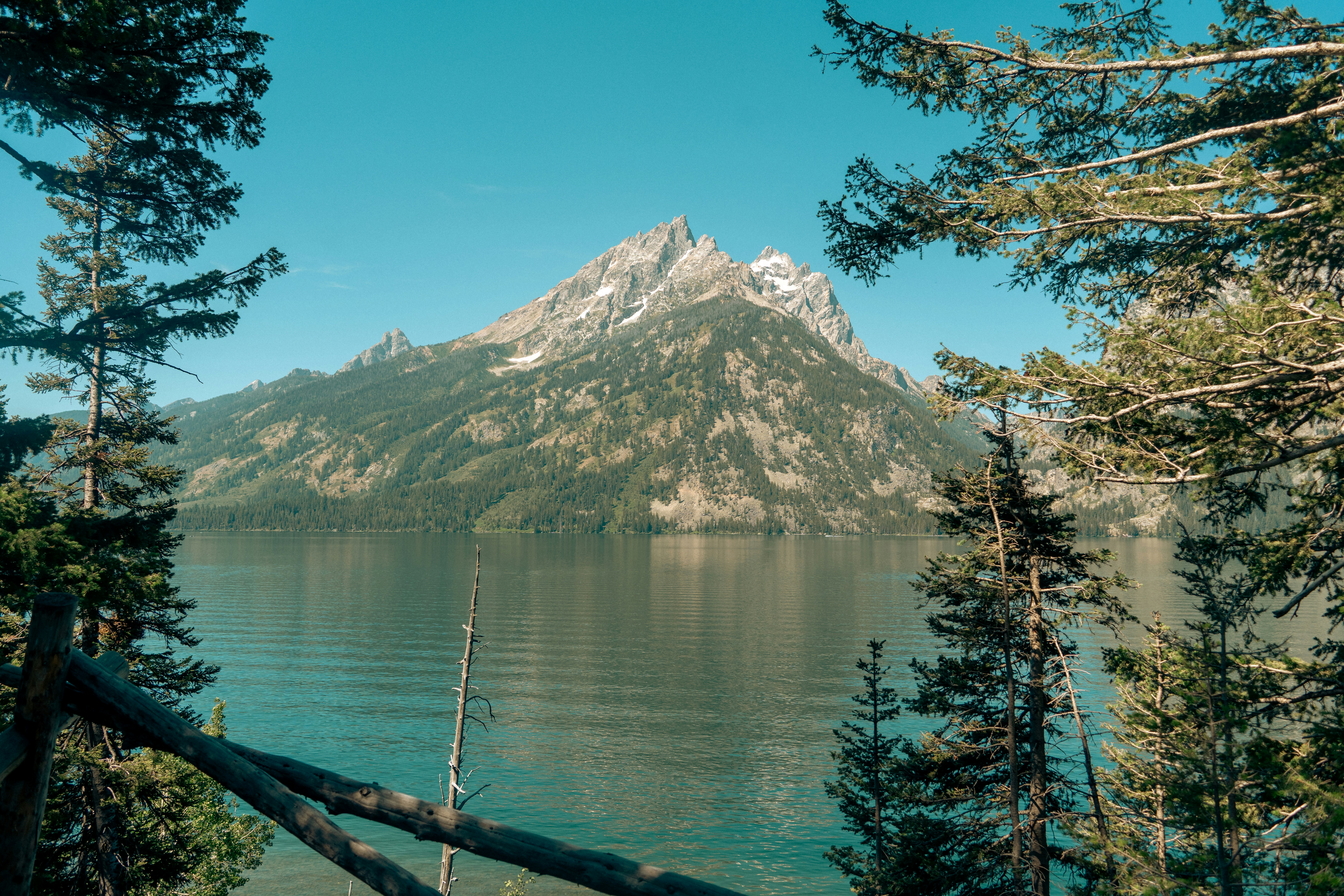 Azure Basin Vista: Mountain Peak Framed by Pine Foreground