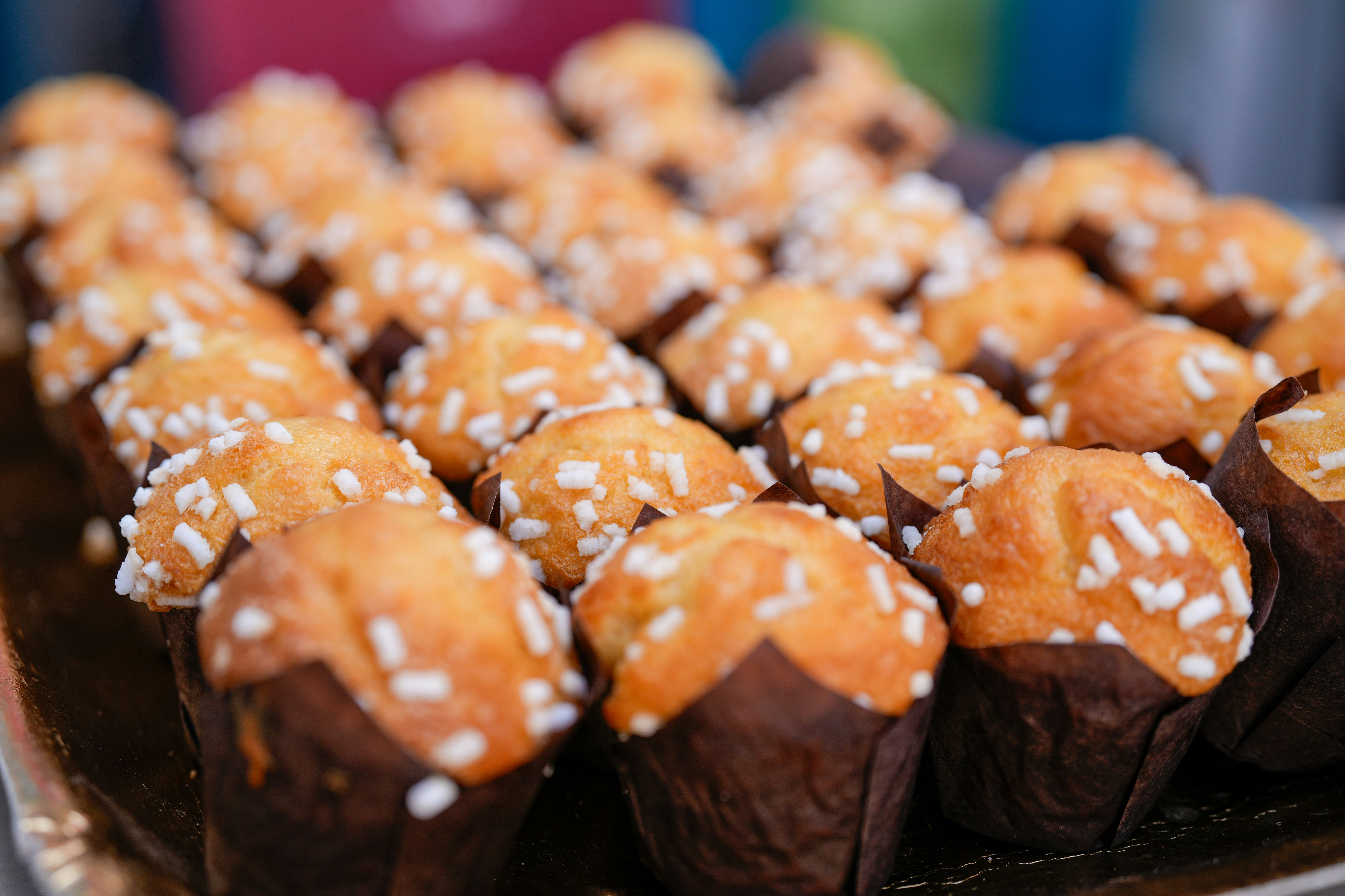 Sugar-dusted pastry rows: bite-sized treats on a tray