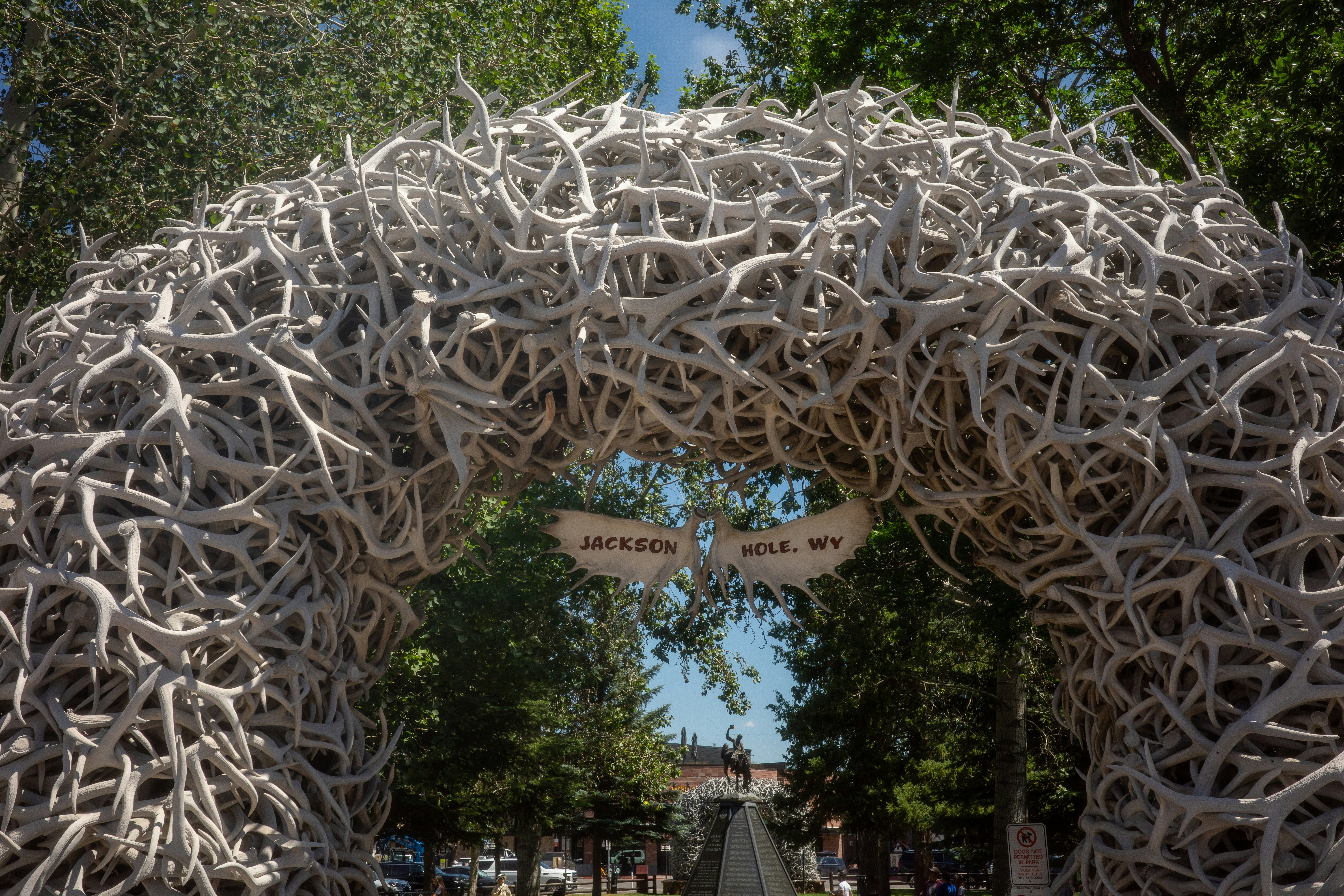 Antler Arch Over Jackson Ave: A Corridor of Curves