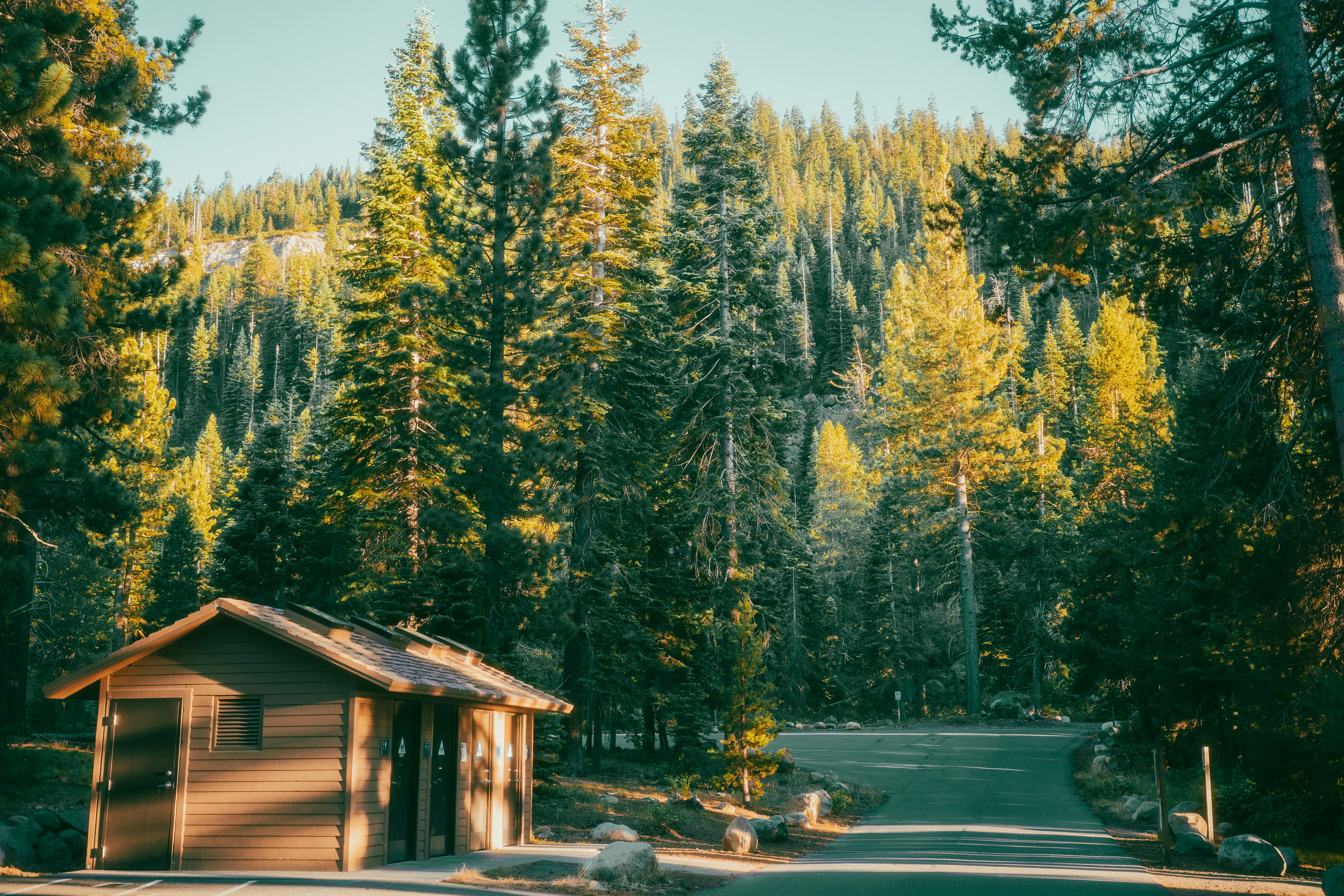Cedar Cabin at the Forest Edge