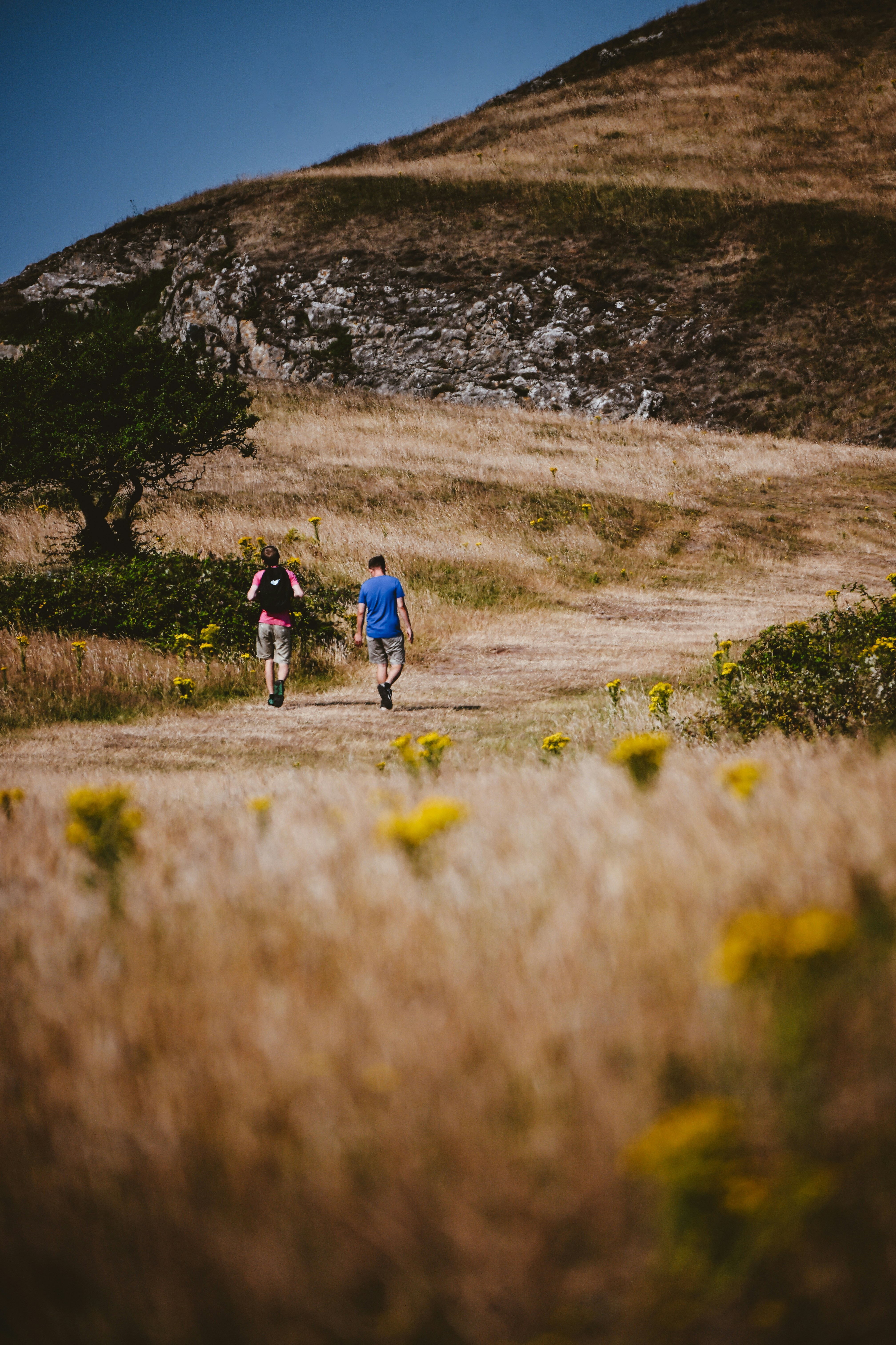 Two hikers vanish into golden hillside under a blue sky