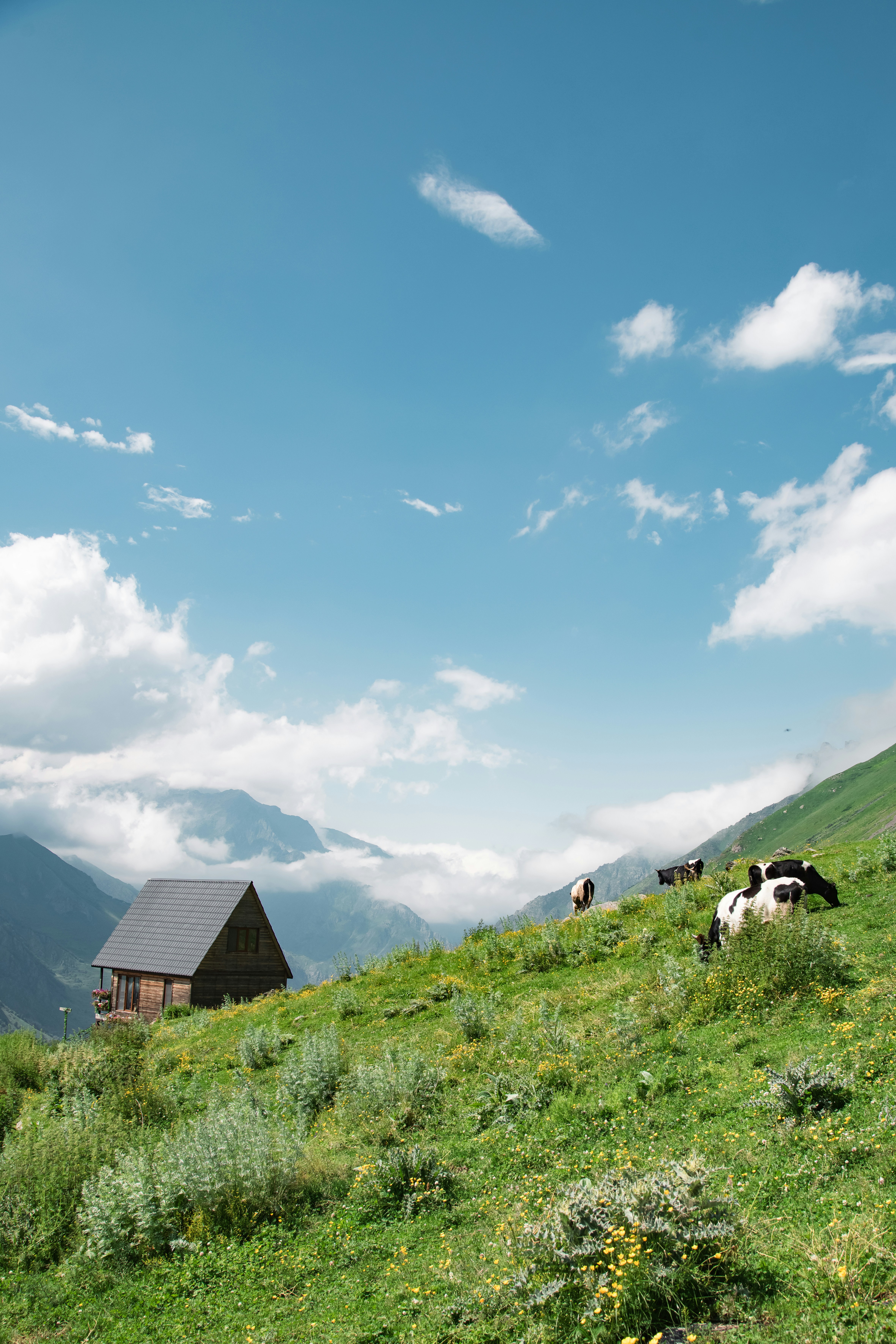 Pasture Overlook: A Highland Cabin Beneath Open Skies