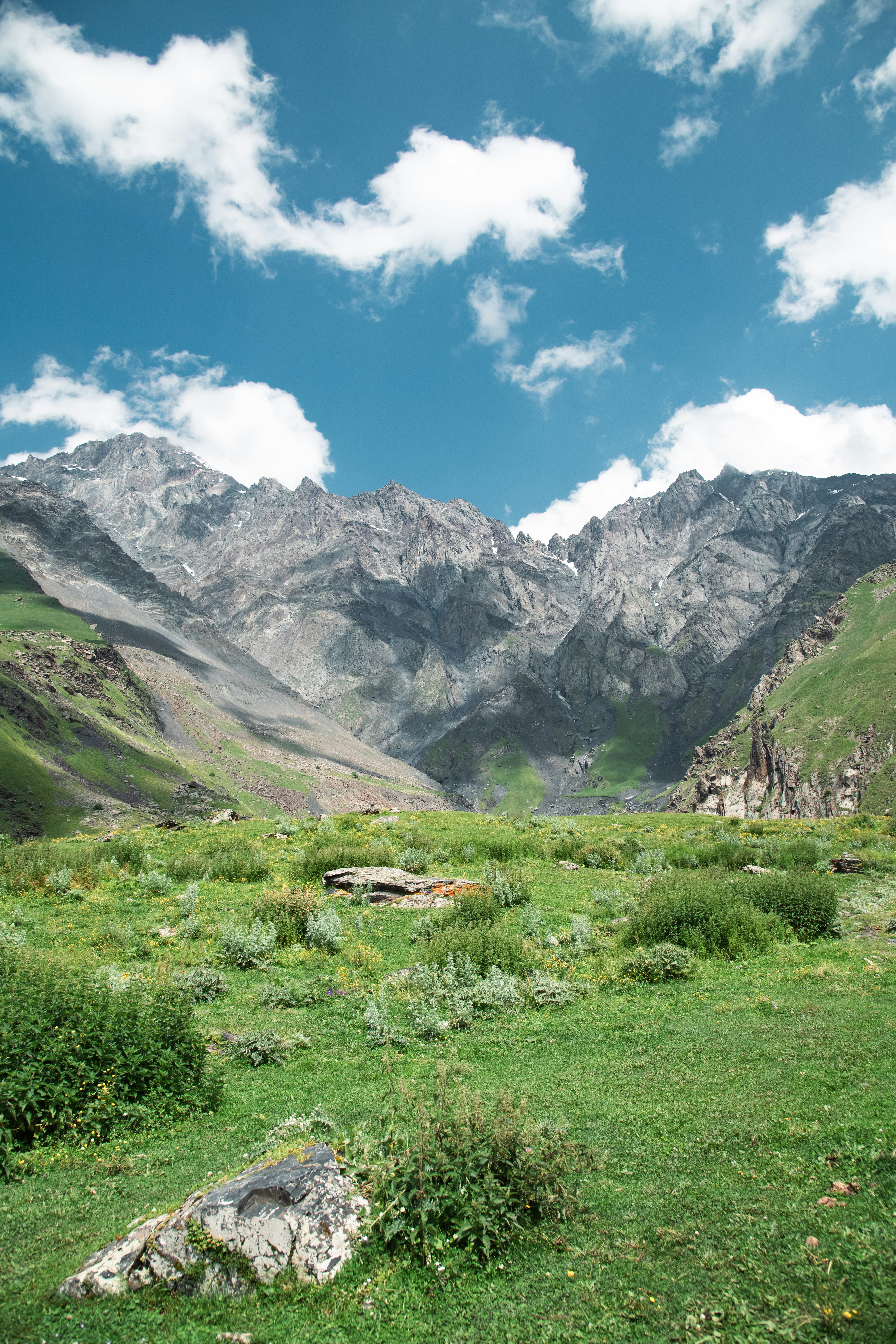 Valley Cathedral: Granite Peaks Over Green Meadow
