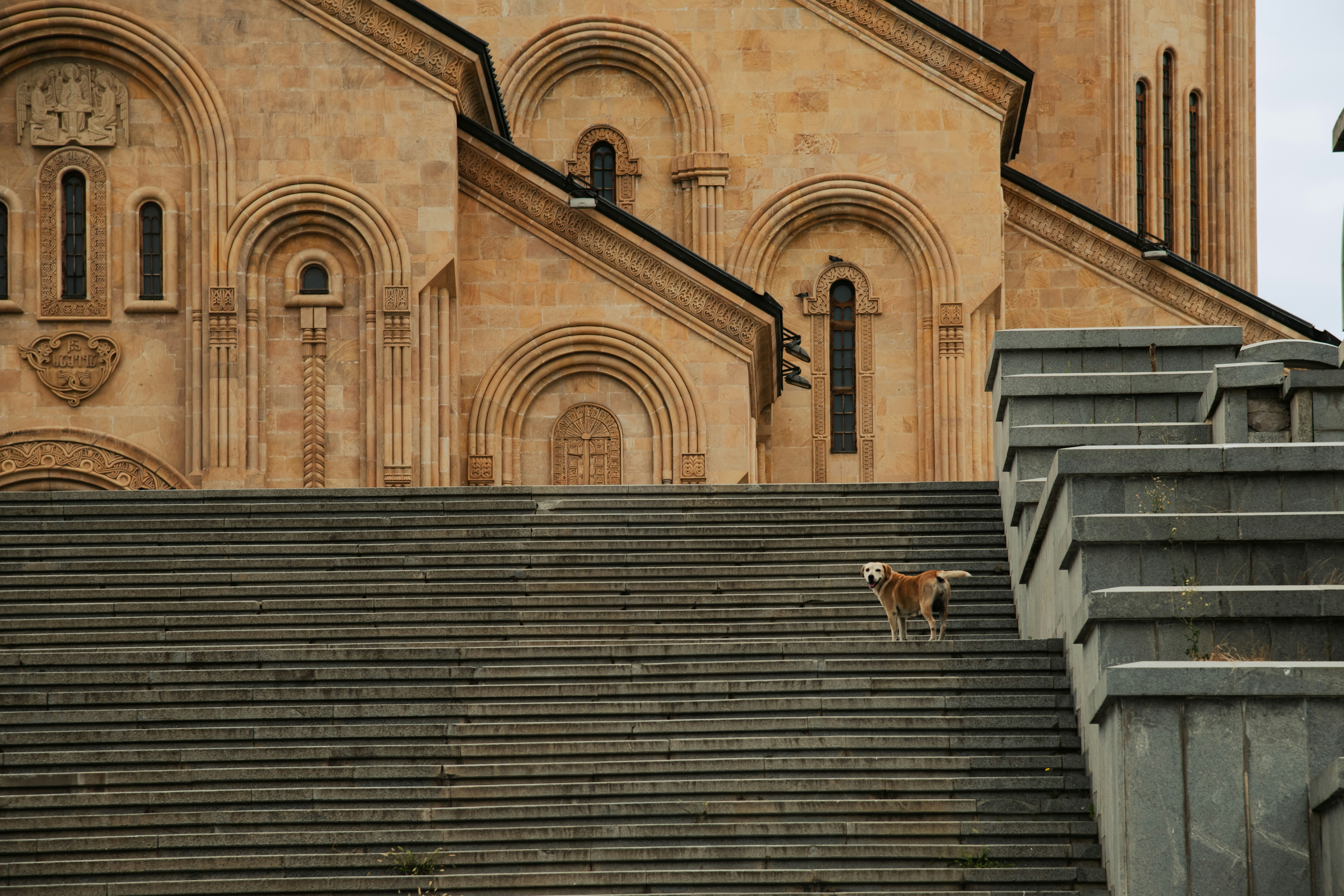 Cat on Steps before a Stone Cathedral
