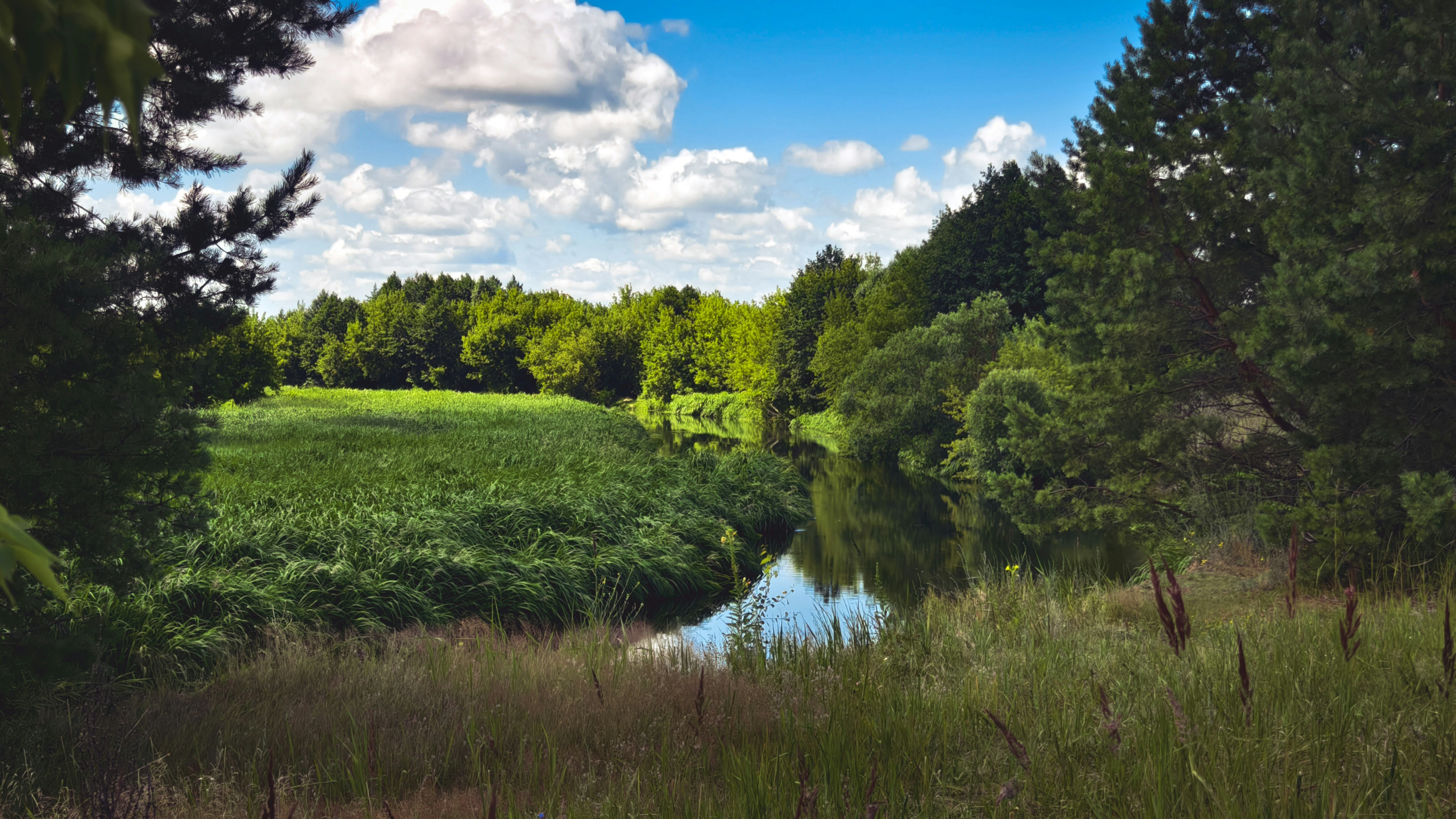 Verdant River Bend Under a Brilliant Sky