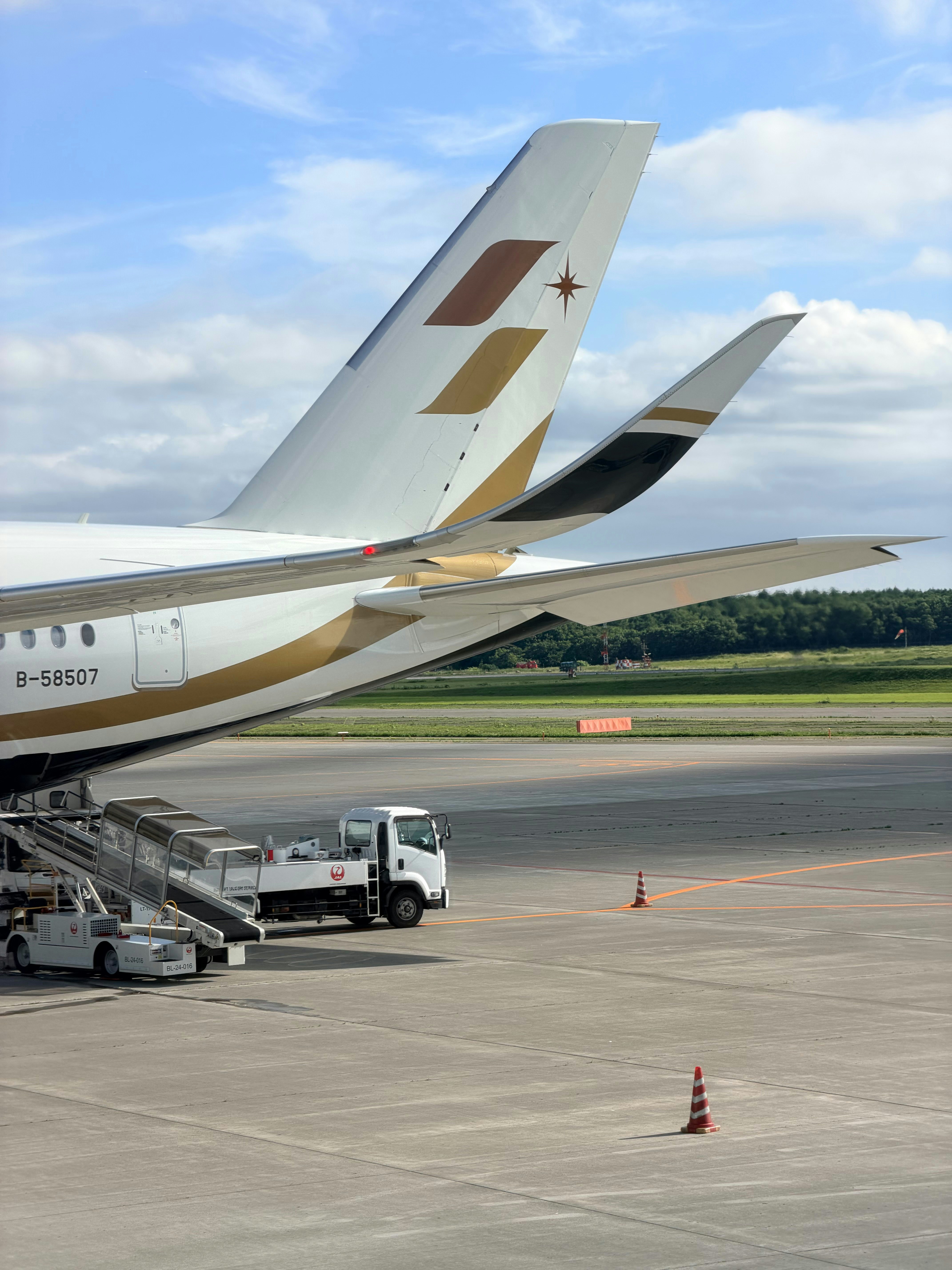 Tailfin at Dawn: A Quiet Gate to the Runway