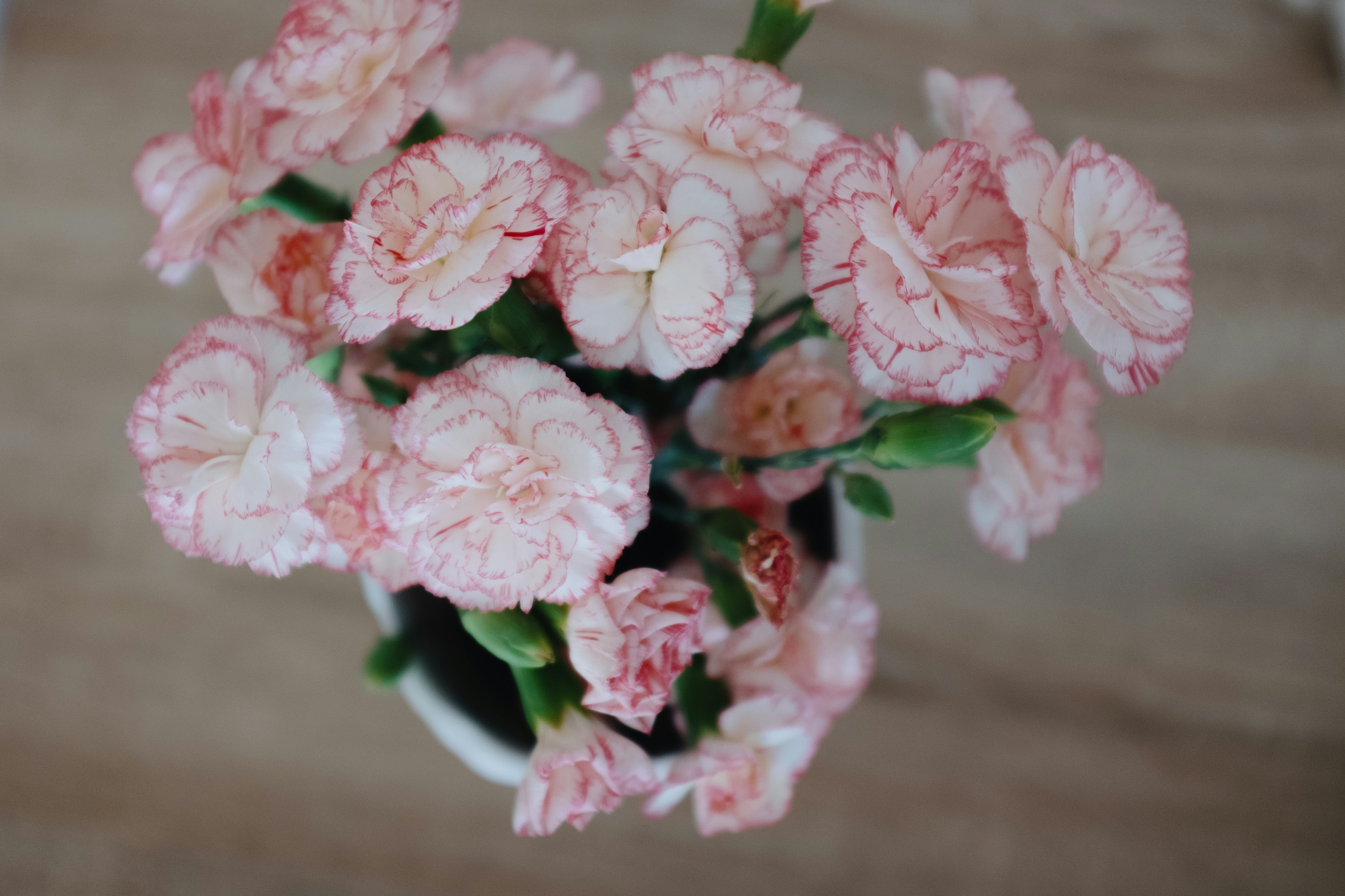 Soft Petal Core: A Top-Down Bouquet in Gentle Light