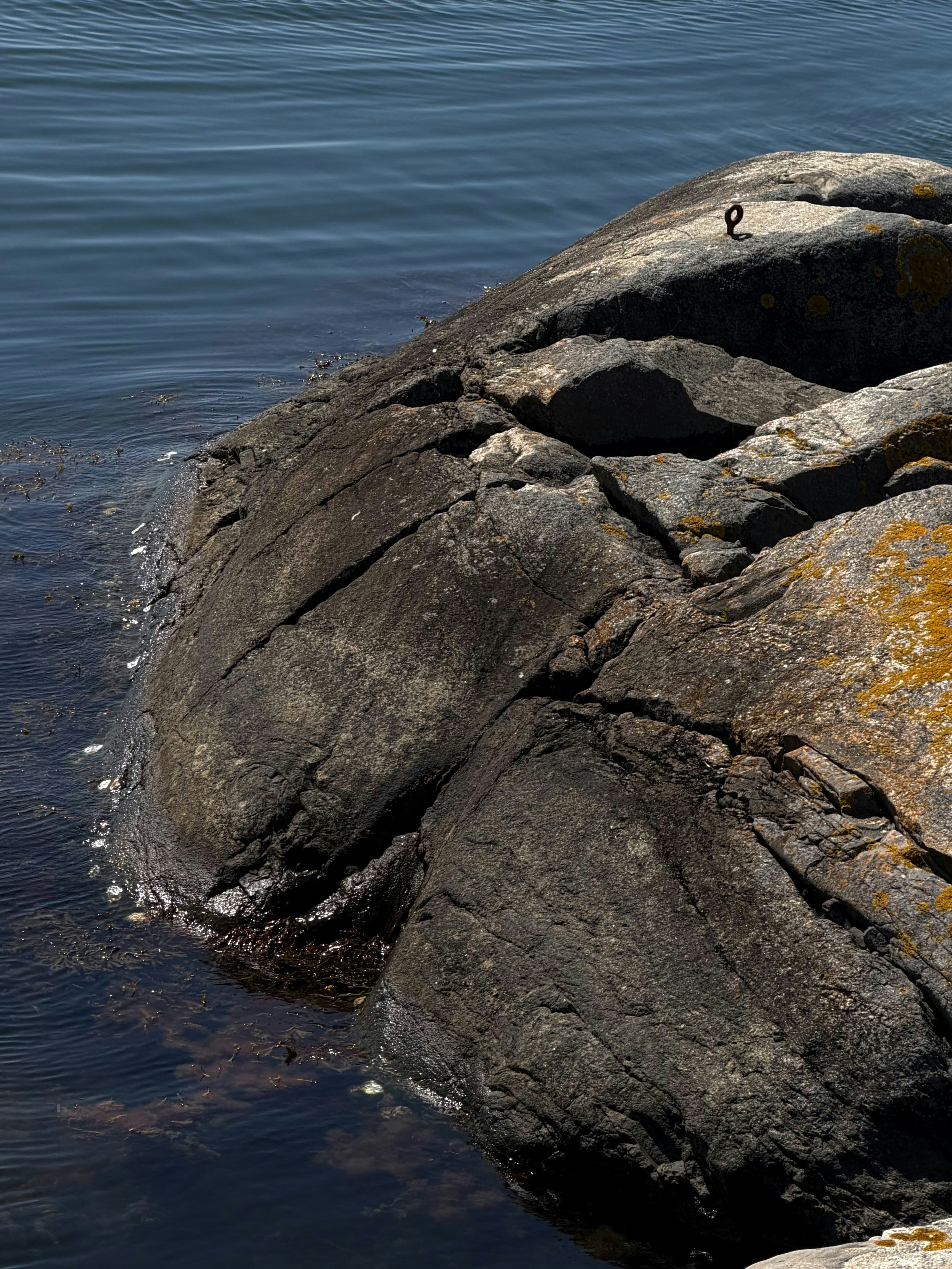 Coastal Granite Sentinel by the Quiet Shore