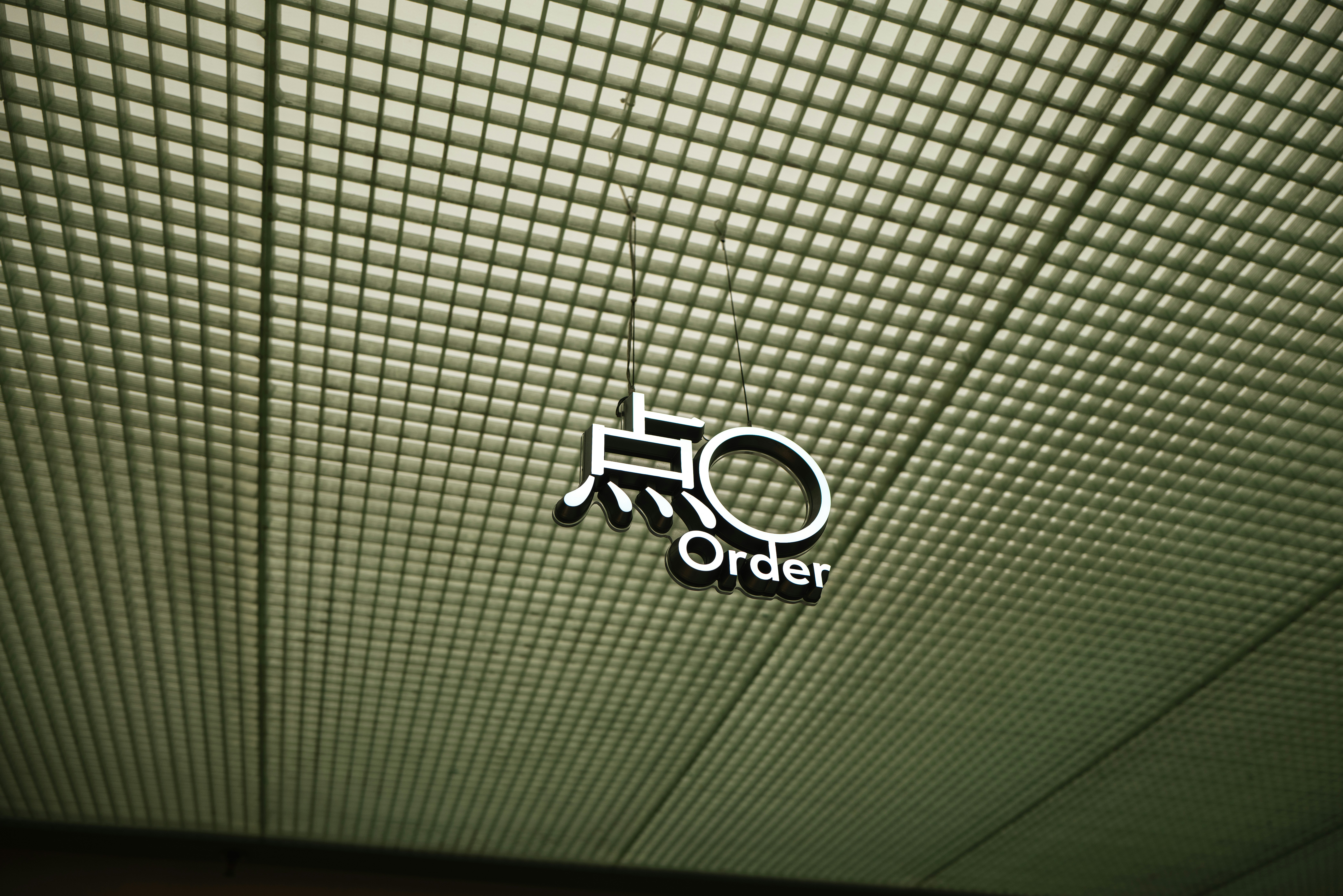 Centered Emblem Under a Textured Ceiling Grid